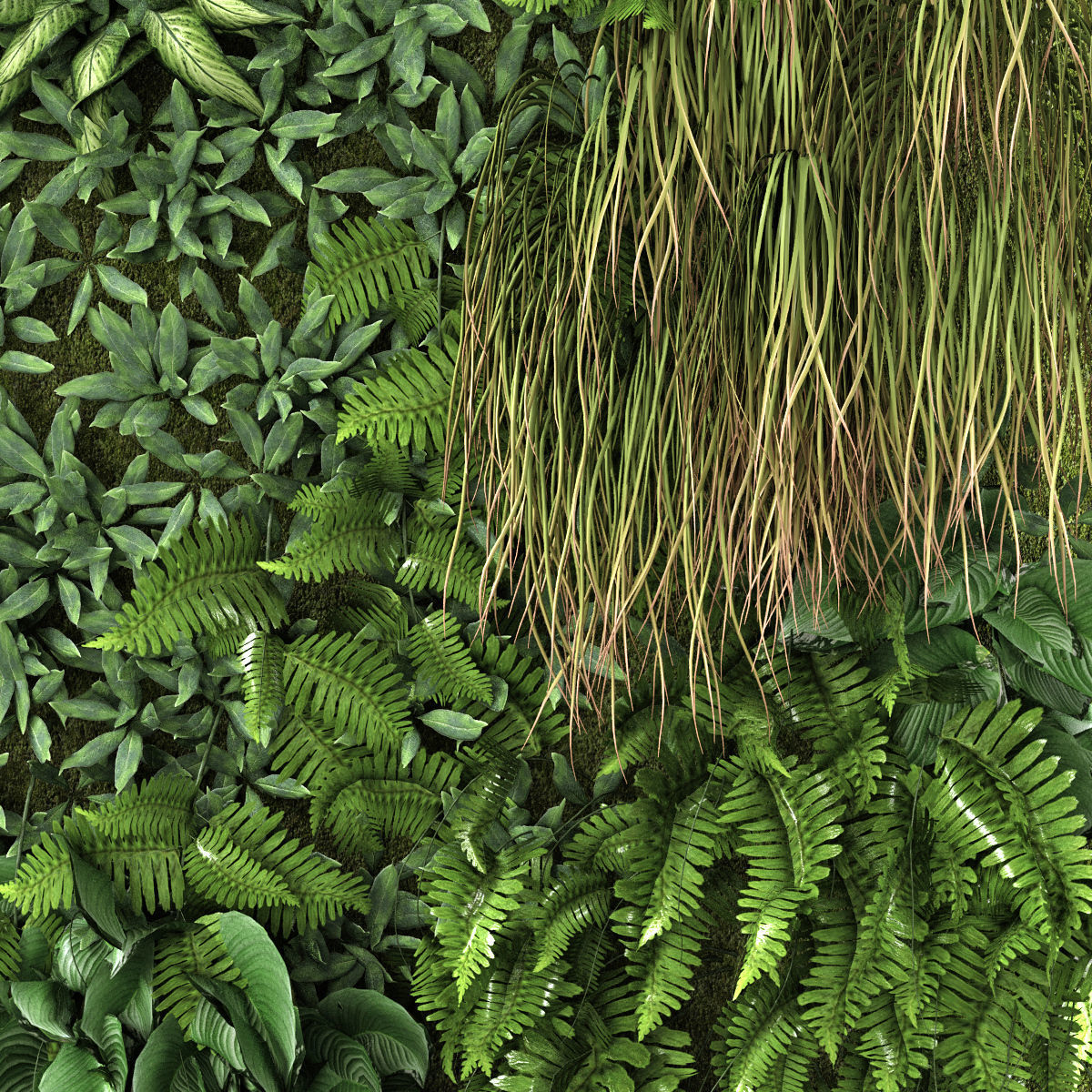 vertical plant 154 3D model | CGTrader