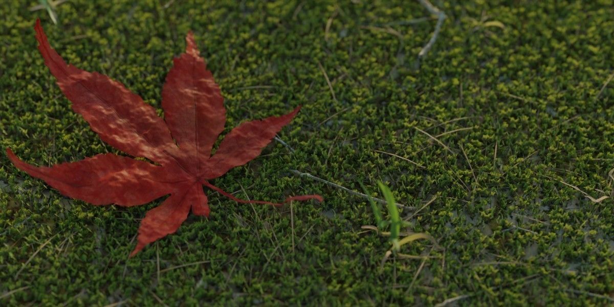 3D model Realistic Japanese Maple Leaves Pack - Atropurpureum VR / AR ...
