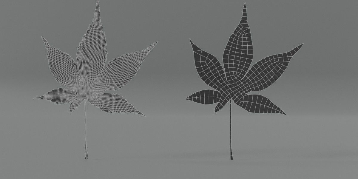 3D model Realistic Japanese Maple Leaves Pack - Atropurpureum VR / AR ...