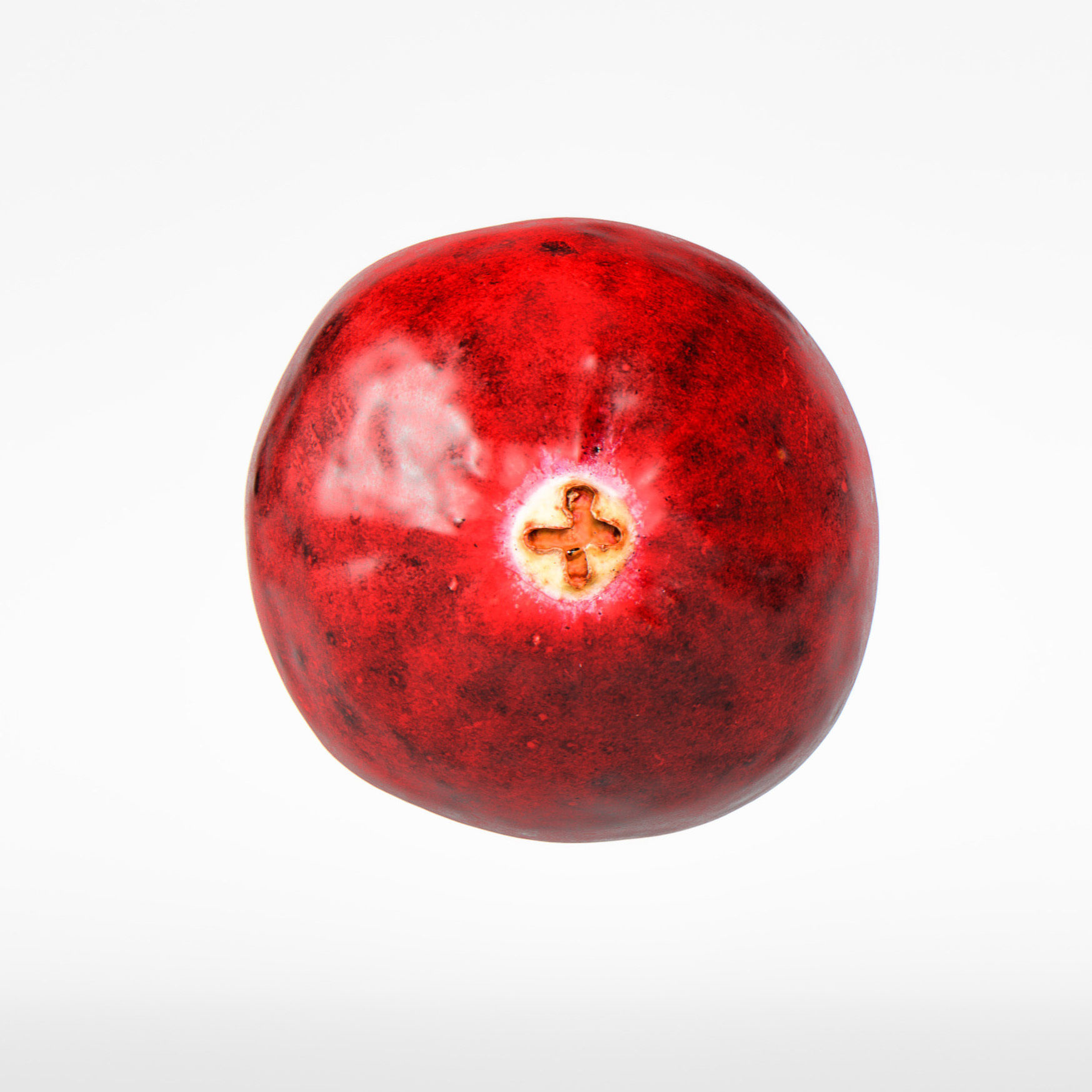 Cranberry 3D model | CGTrader