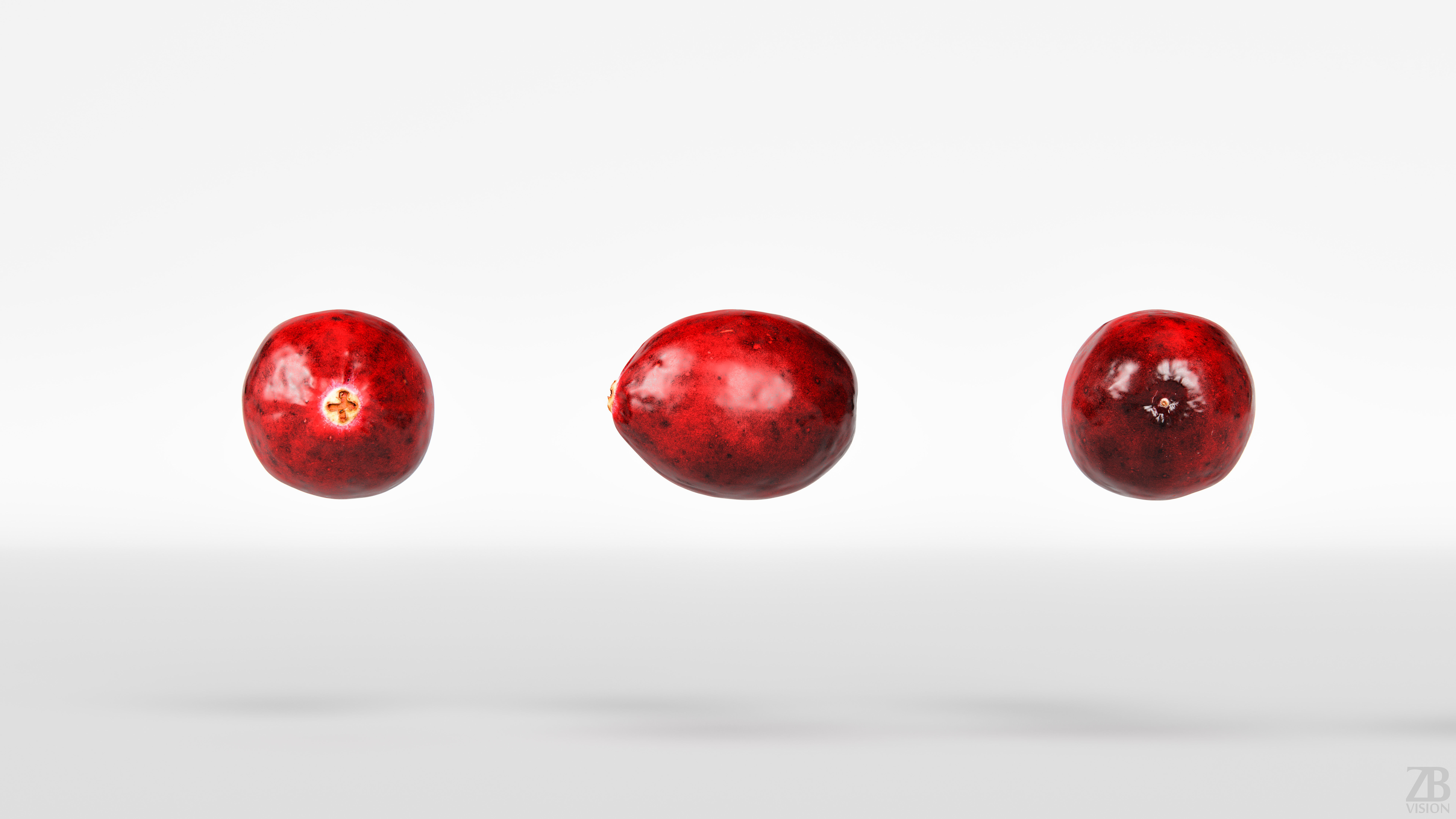Cranberry 3D model | CGTrader