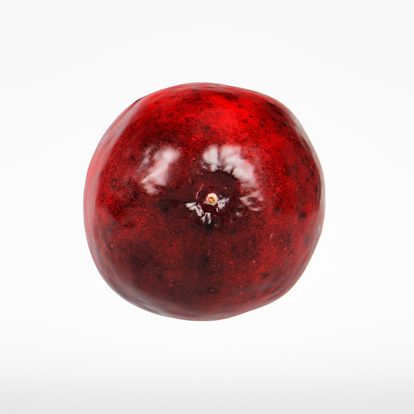 Cranberry 3D model | CGTrader