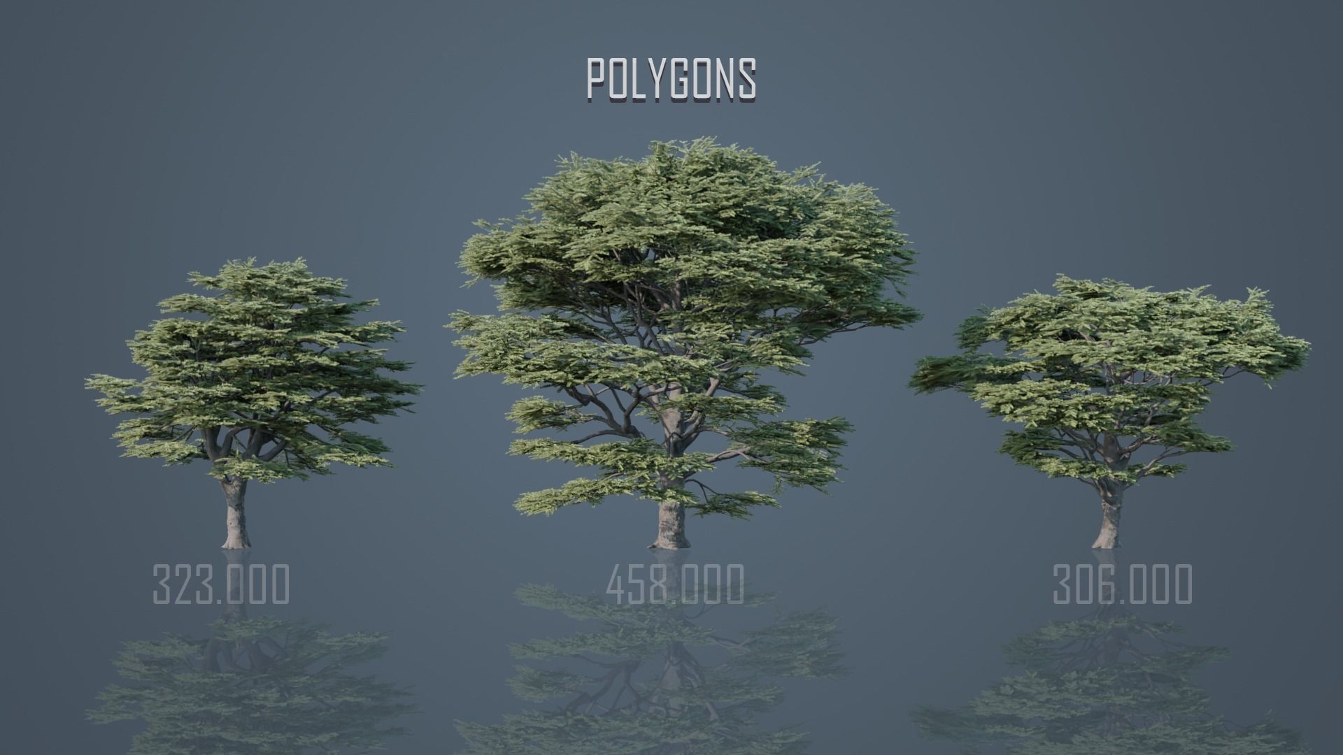 Cedrus Libani - Big Cedar Trees 3D model | CGTrader