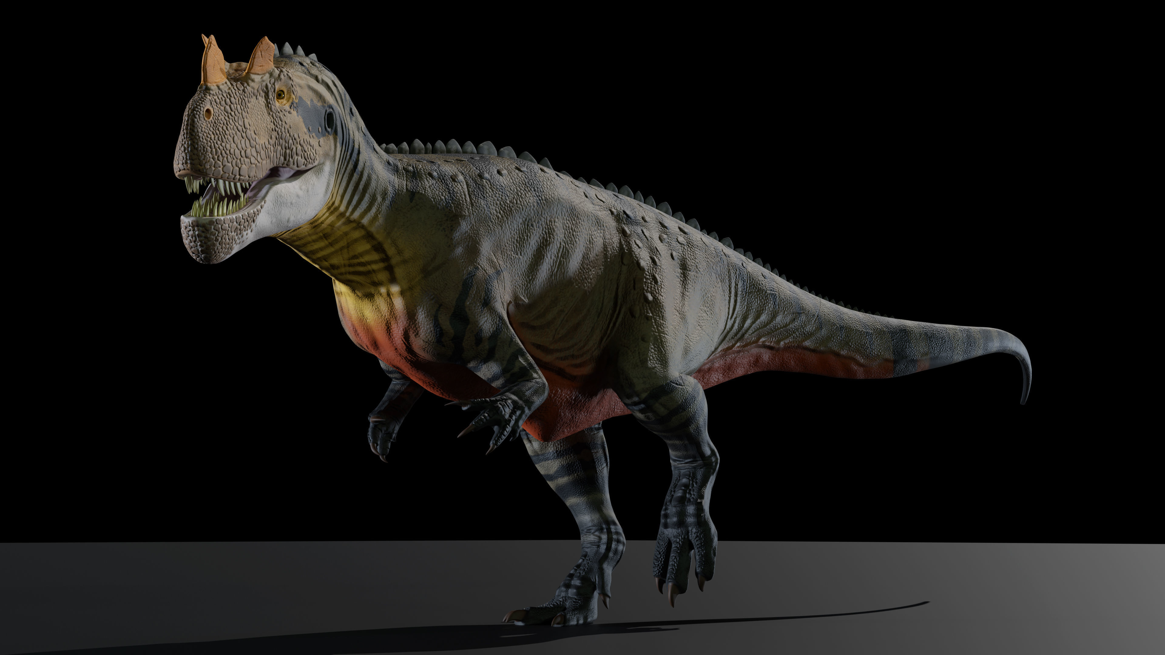 3D model Ceratosaurus dentisulcatus VR / AR / low-poly | CGTrader
