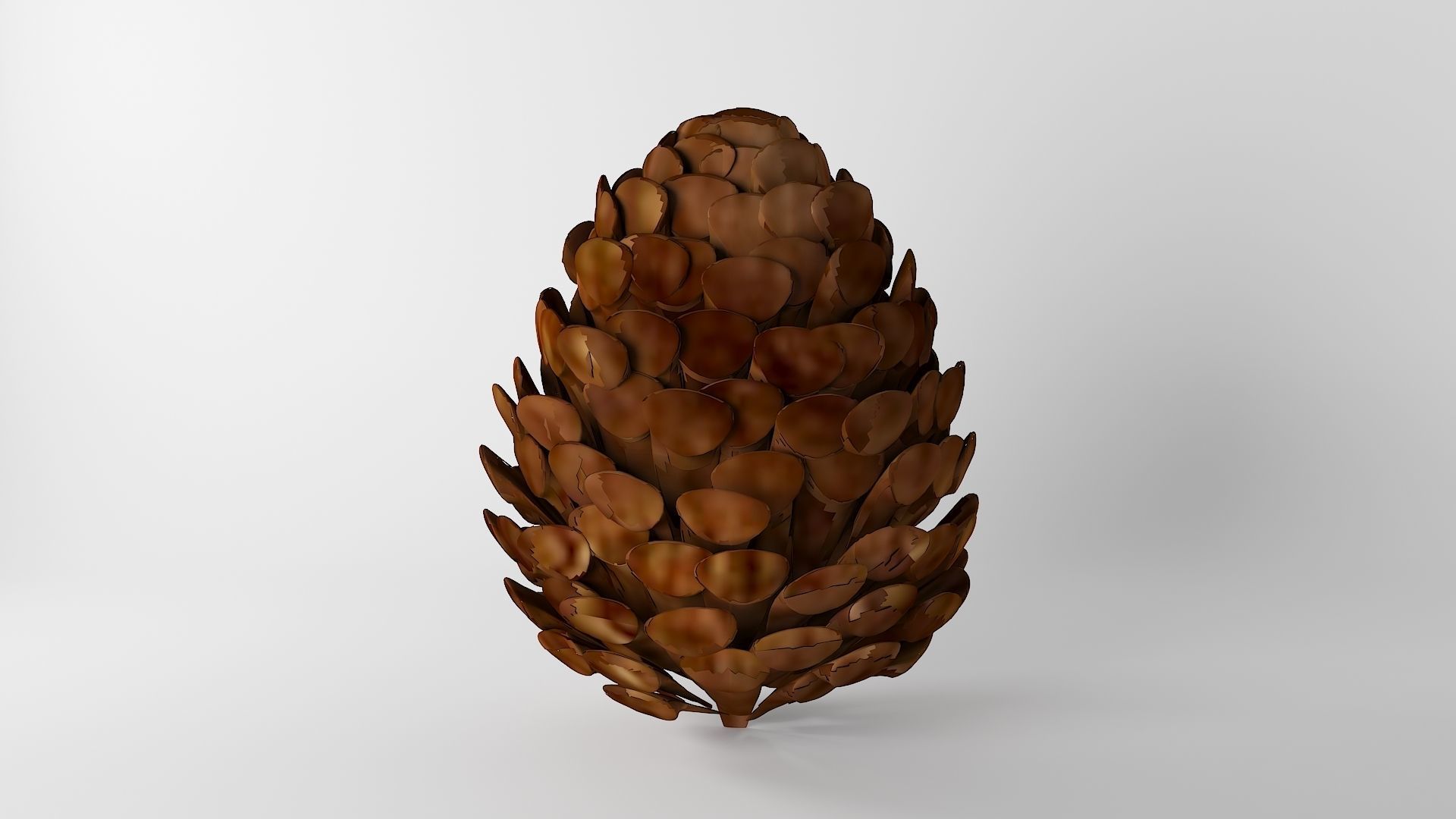 Pine cone 3D model | CGTrader