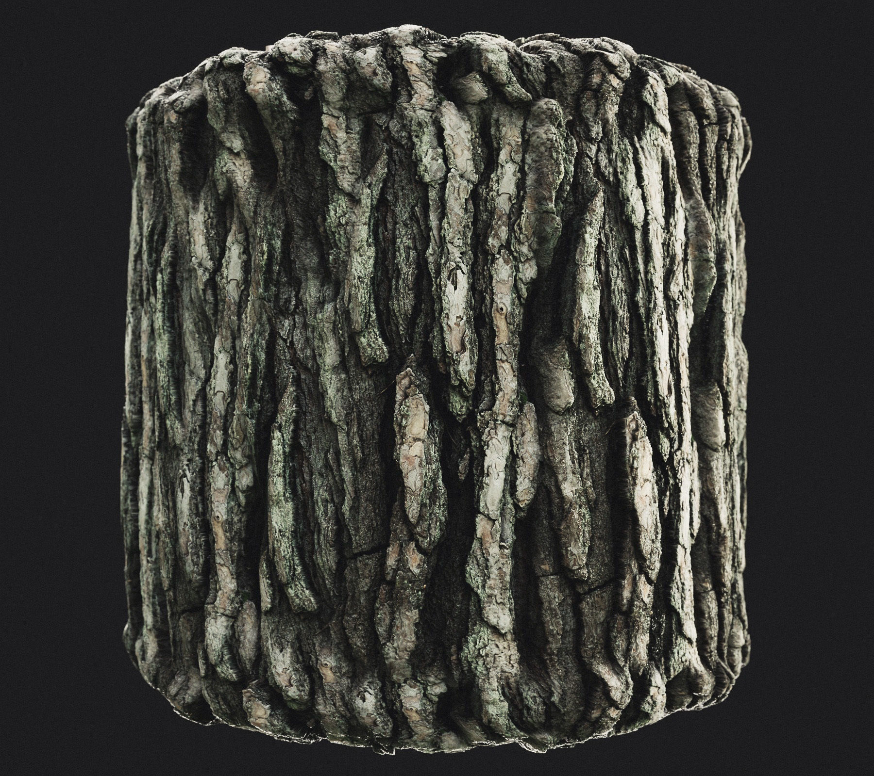 Pine Bark PBR Seamless Texture Texture | CGTrader