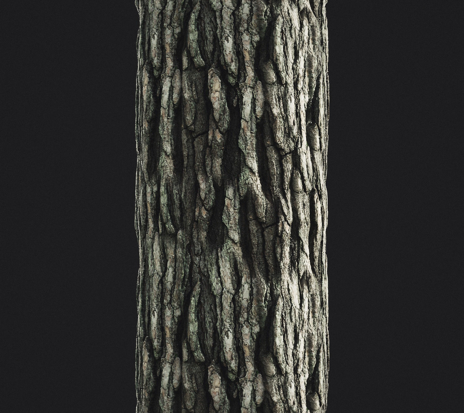 Pine Bark PBR Seamless Texture Texture | CGTrader