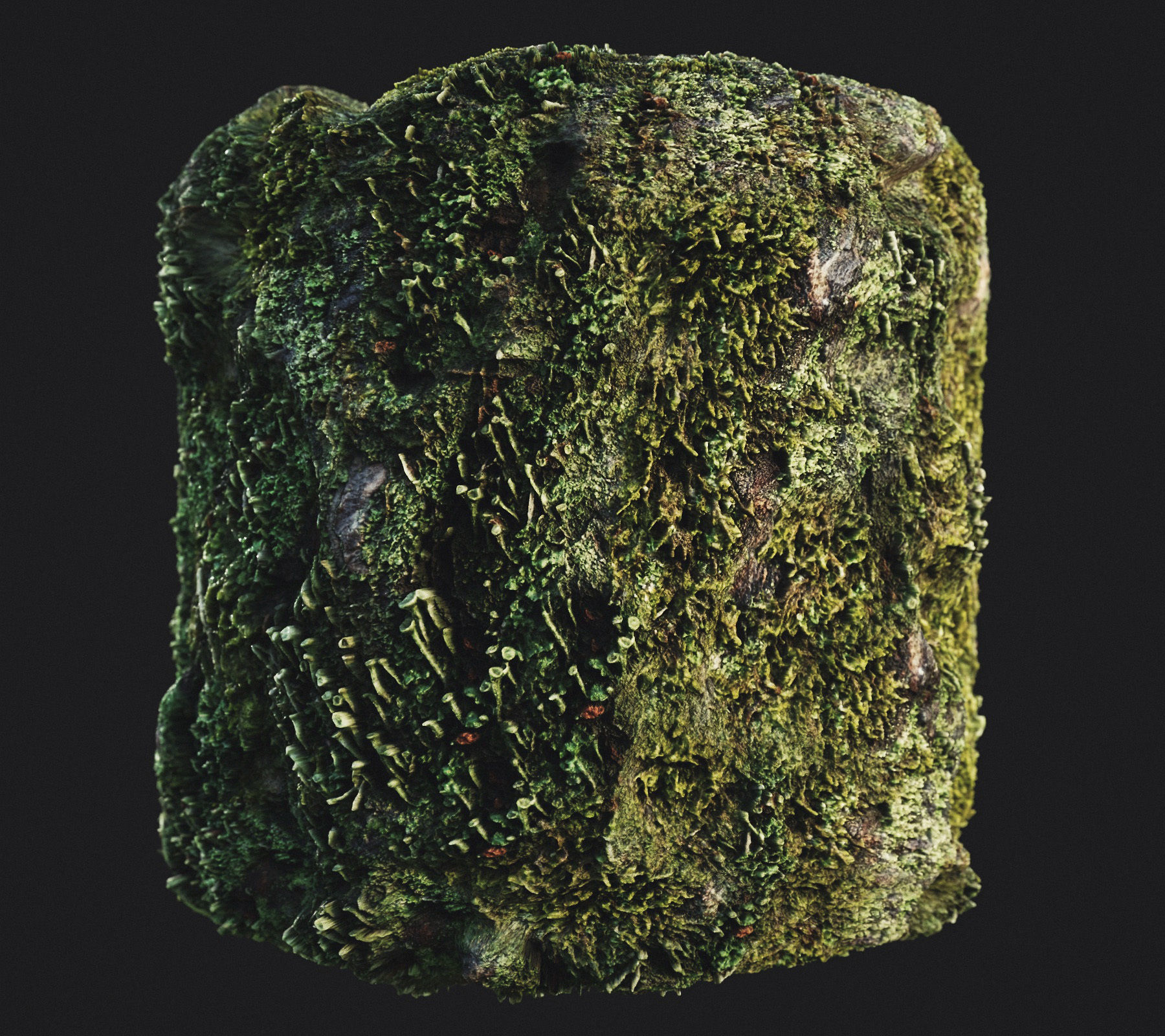 Moss on Bark PBR Seamless Texture Texture | CGTrader