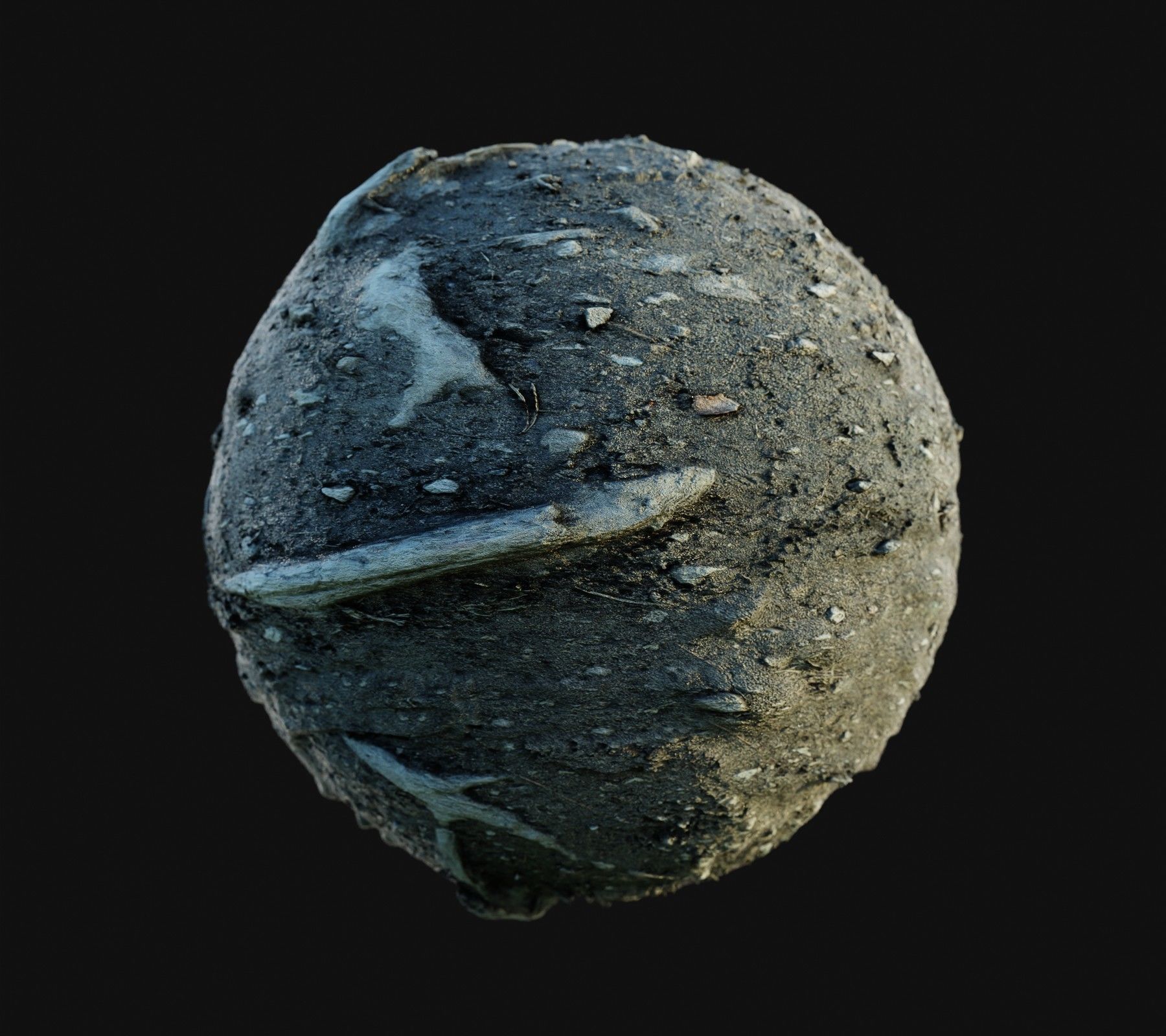 Roots in the Ground PBR Seamless Texture Texture | CGTrader