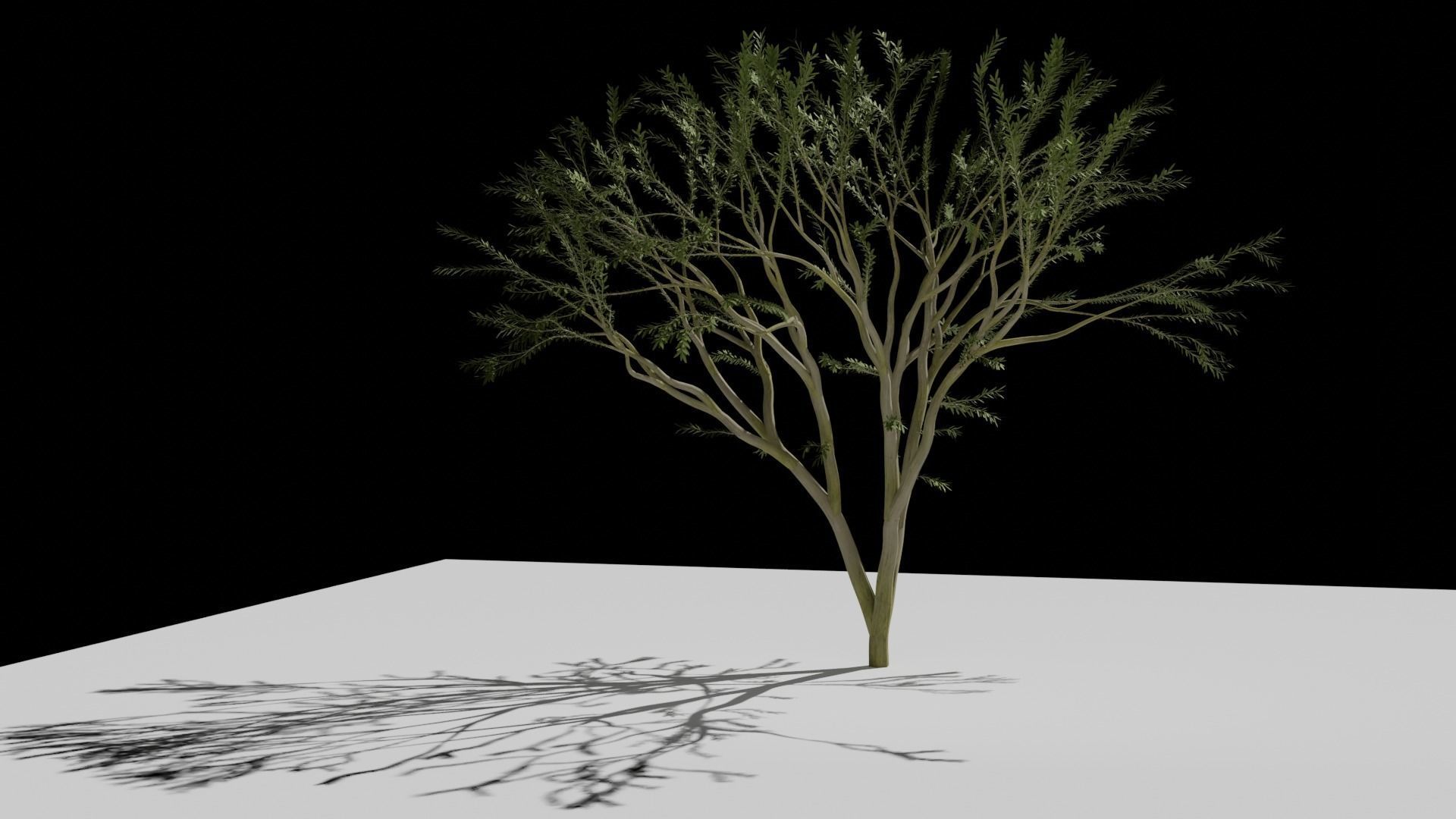 the animated tree free VR / AR / low-poly 3D model animated rigged ...