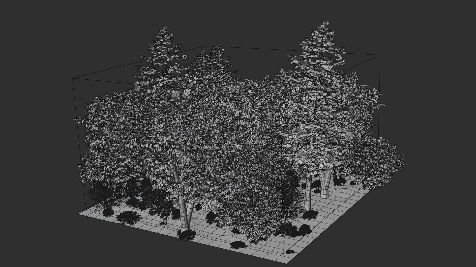 Forest 3D model | CGTrader