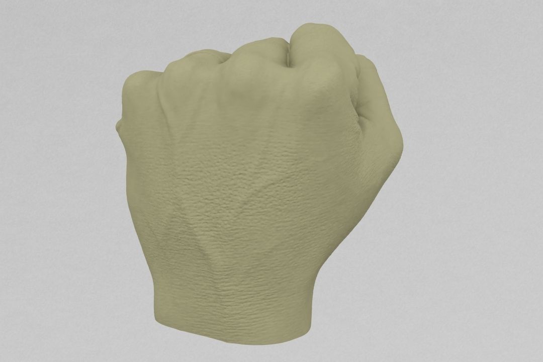 Closed Fist 3D model 3D printable | CGTrader