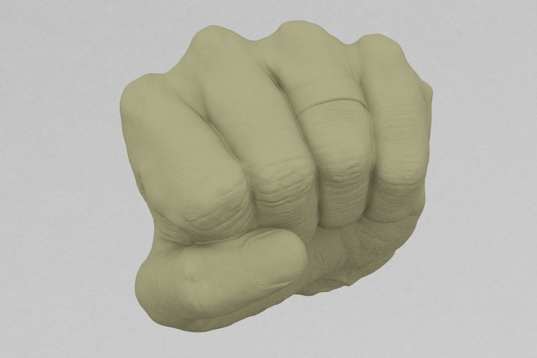 Closed Fist 3D model 3D printable | CGTrader