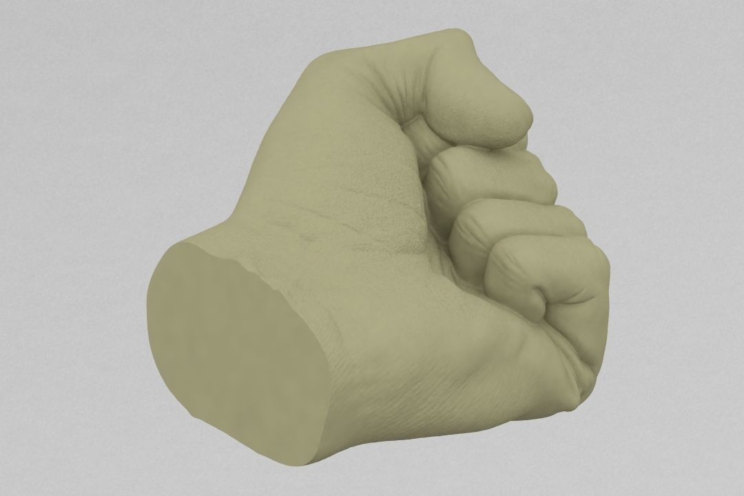 Closed Fist 3D model 3D printable | CGTrader