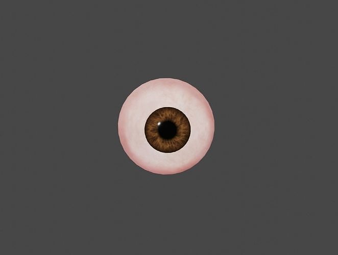 Human eye model 3D model | CGTrader