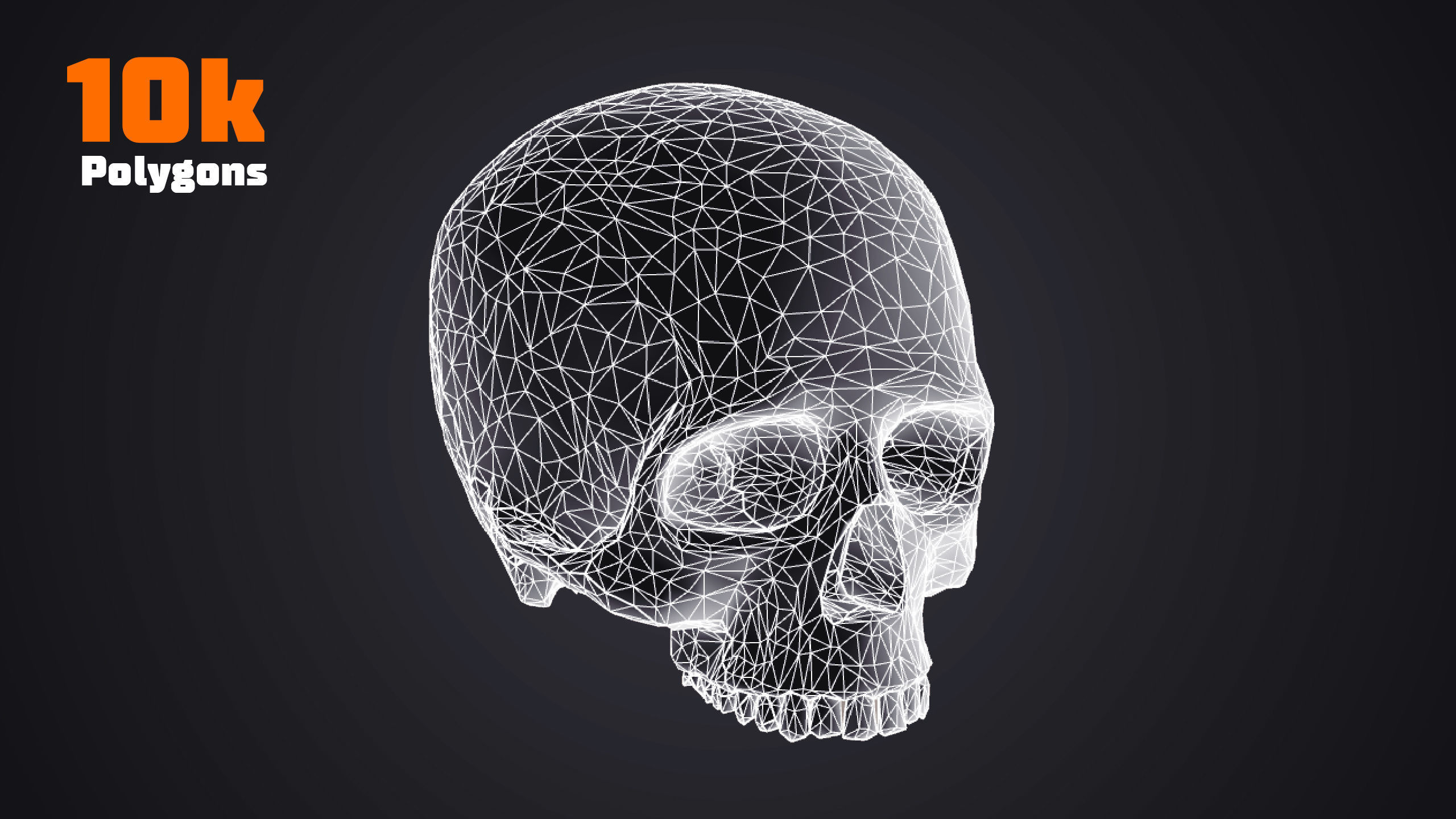 3D model High-Poly Skull and VR / AR / low-poly | CGTrader