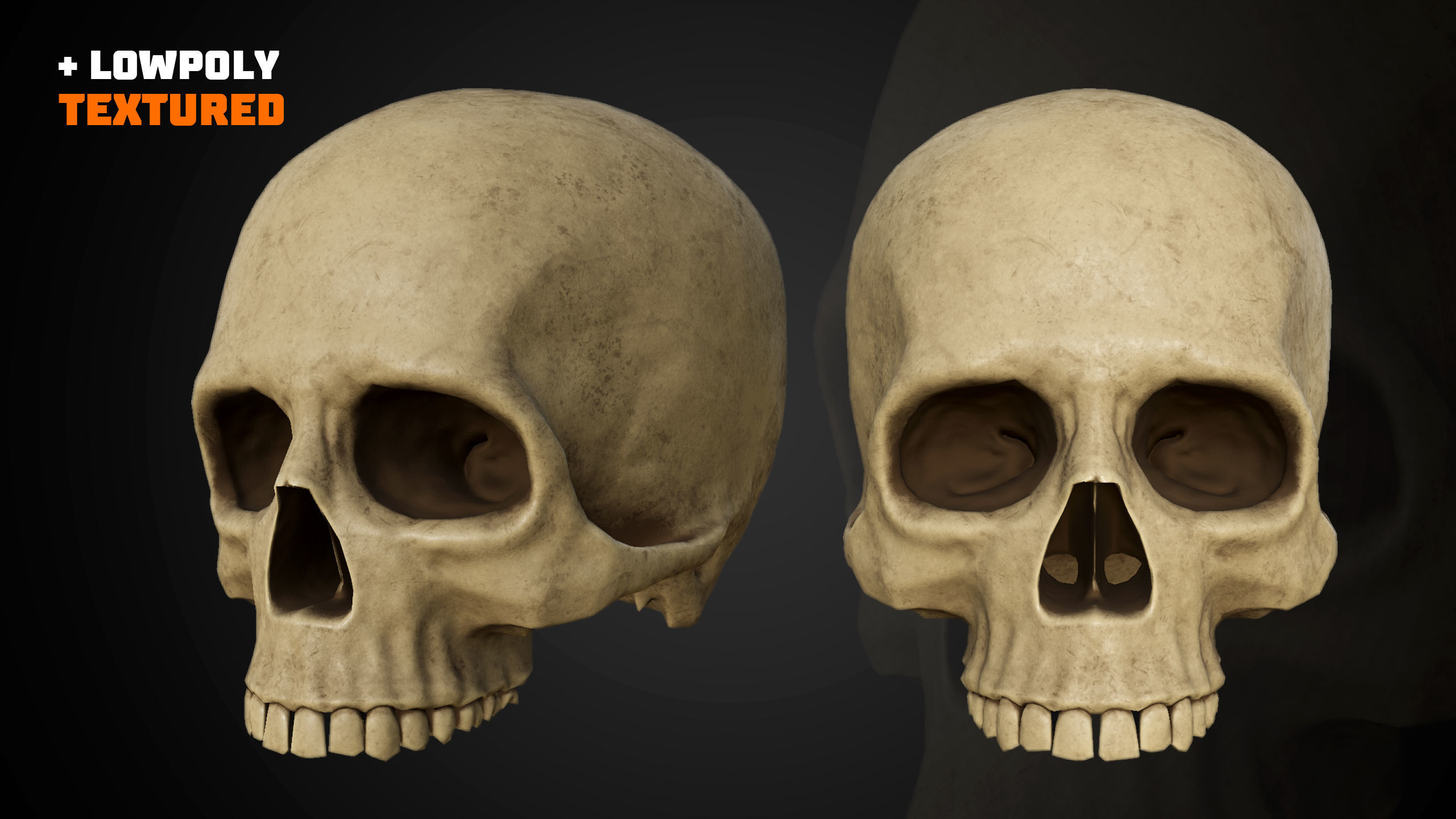 3D model High-Poly Skull and VR / AR / low-poly | CGTrader
