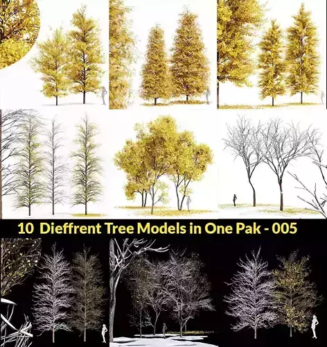 10 Dieffrent Tree Models in One Pak 005 3D model | CGTrader