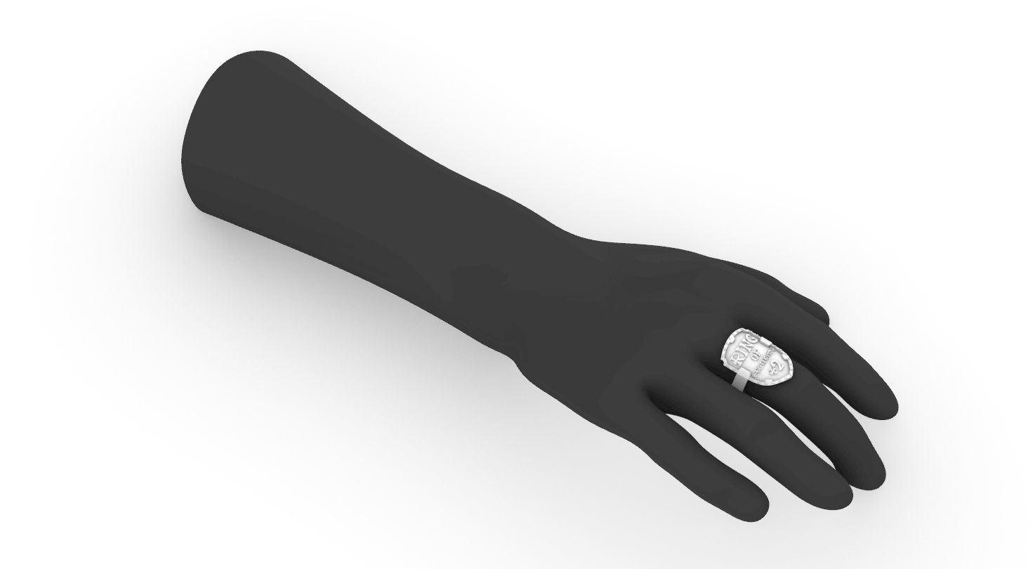 Ring of Protection 3D model 3D printable | CGTrader