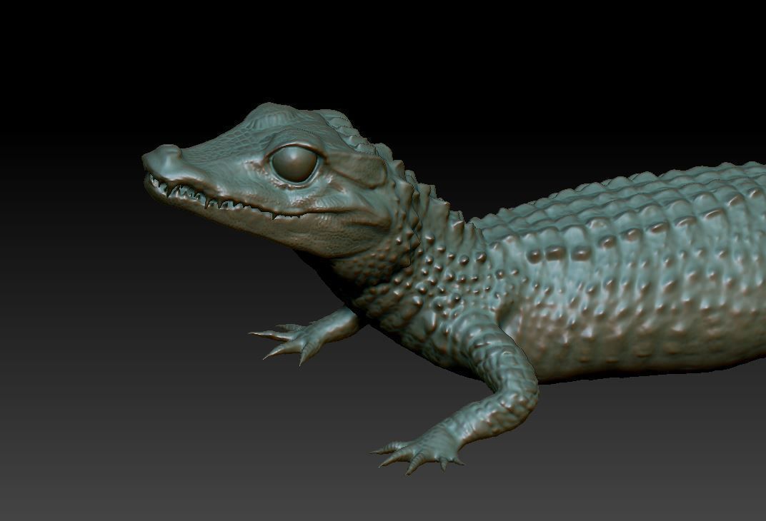 alligator 3D model 3D printable | CGTrader