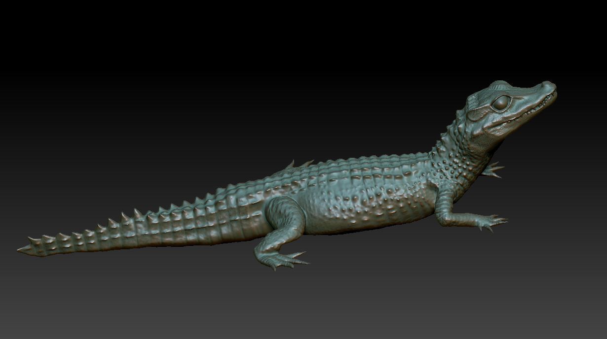 alligator 3D model 3D printable | CGTrader