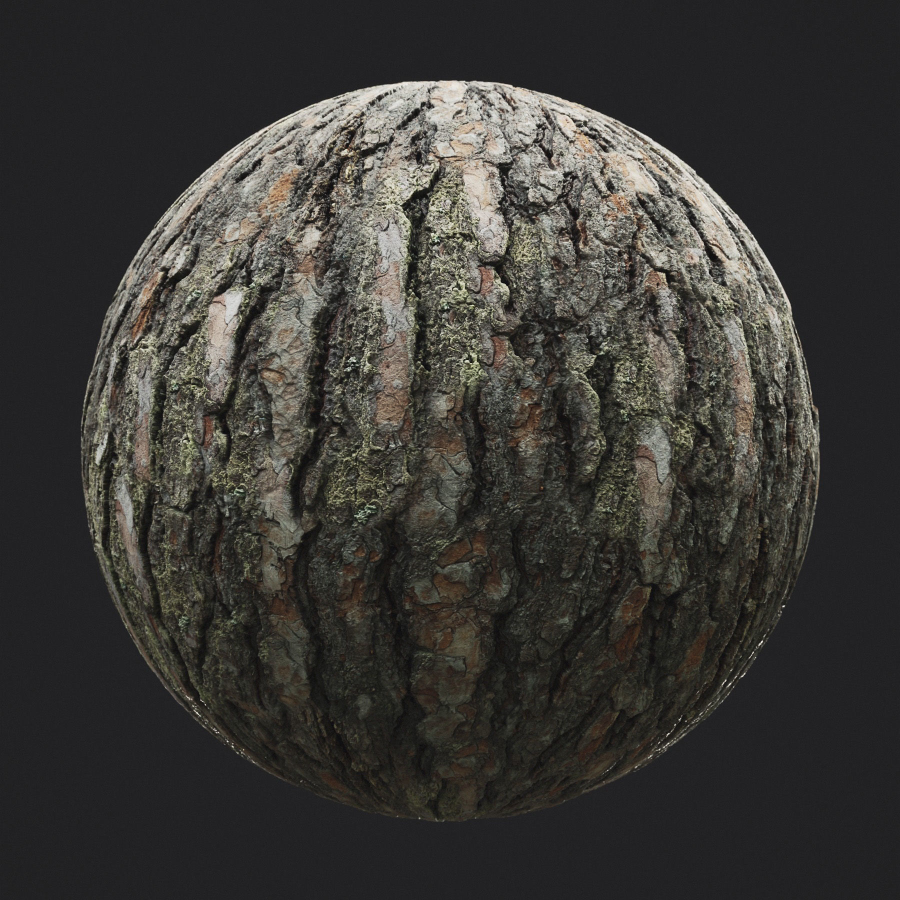 Pine Bark 2 PBR Seamless Texture Texture | CGTrader