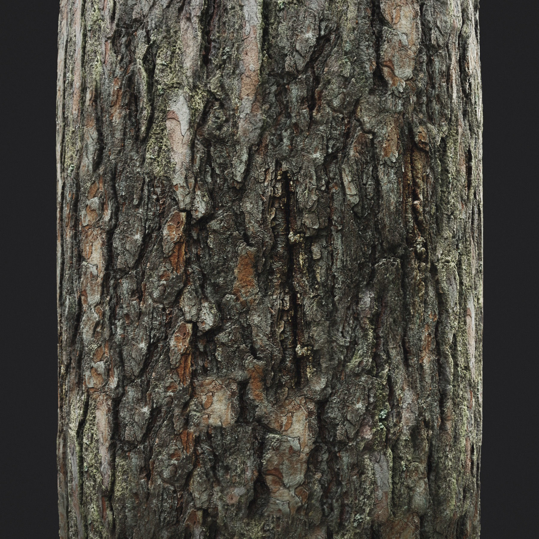 Pine Bark 2 PBR Seamless Texture Texture | CGTrader