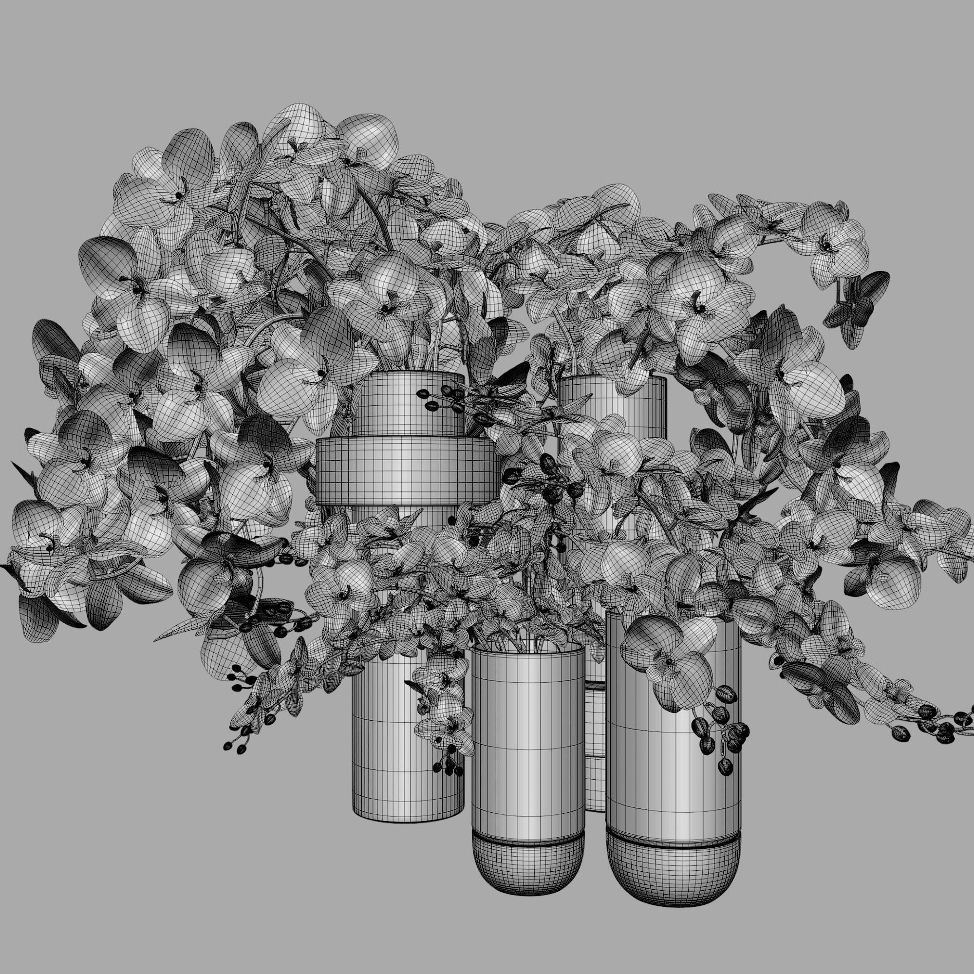 Flower Set 009 Orchids 3D model | CGTrader