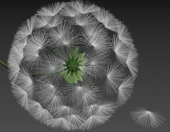 Dandelion Flower 3D model | CGTrader