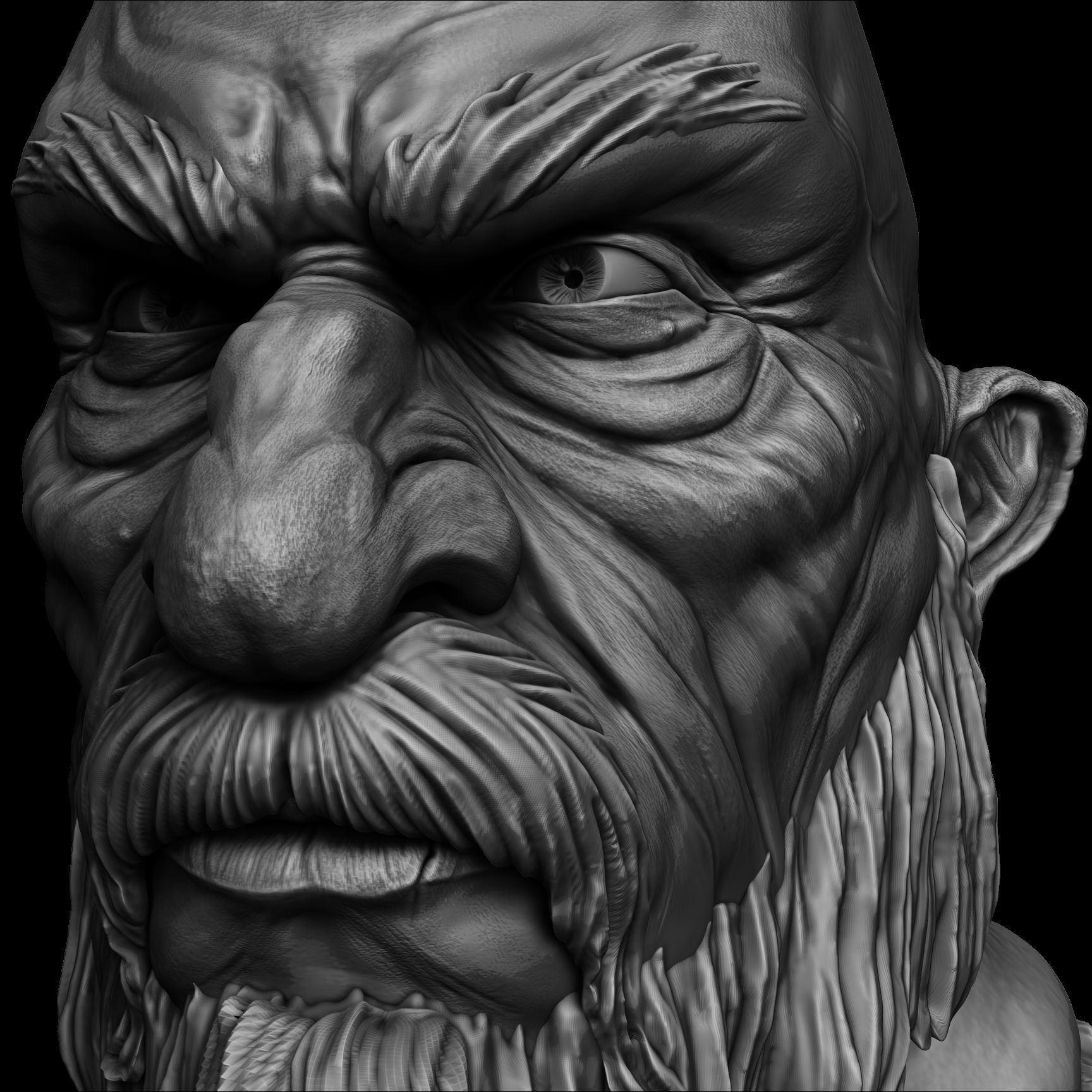 dwarf bust 3D print free 3D model 3D printable | CGTrader