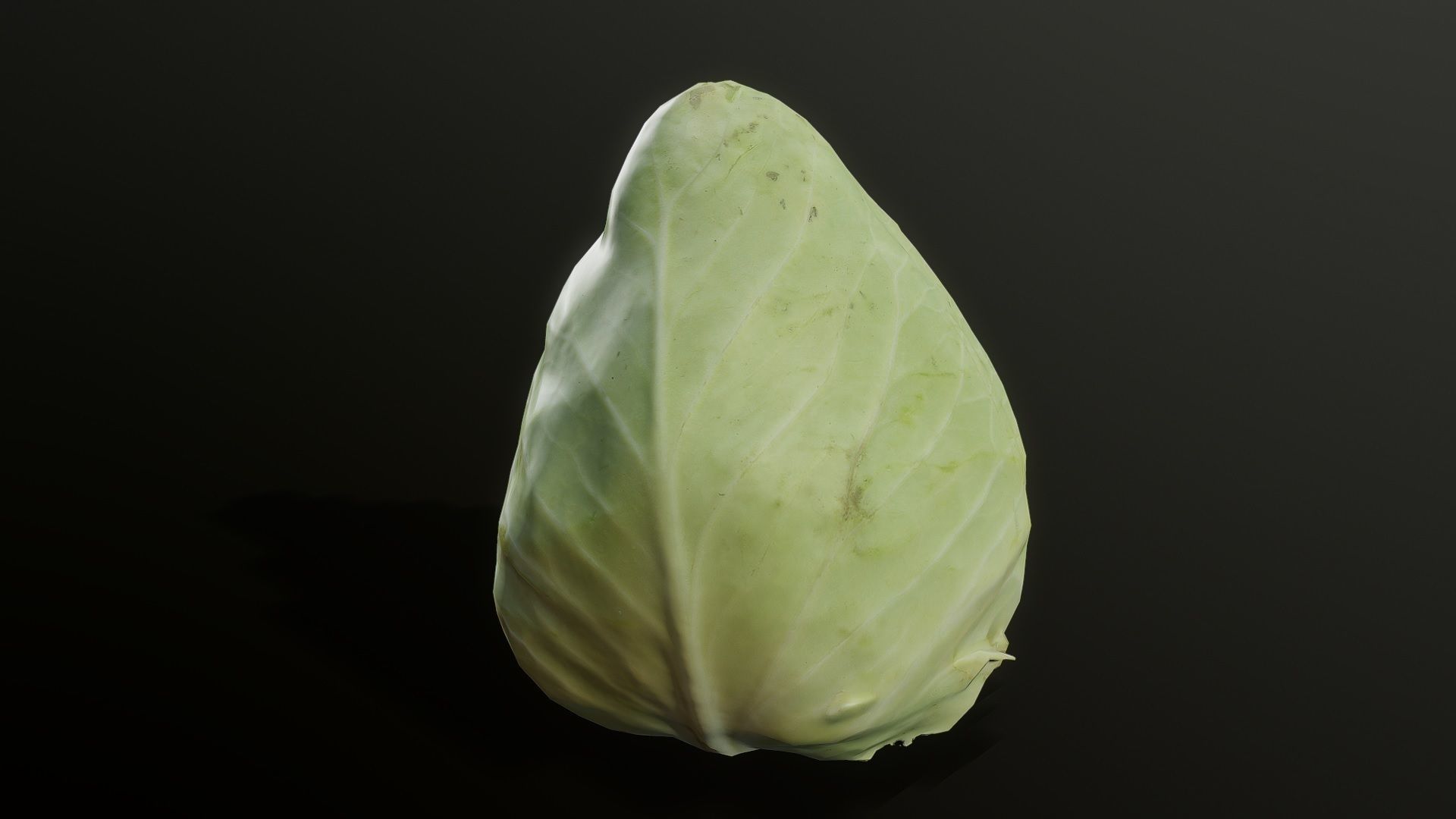 3D model 3D Scan Cabbage 01 VR / AR / low-poly | CGTrader