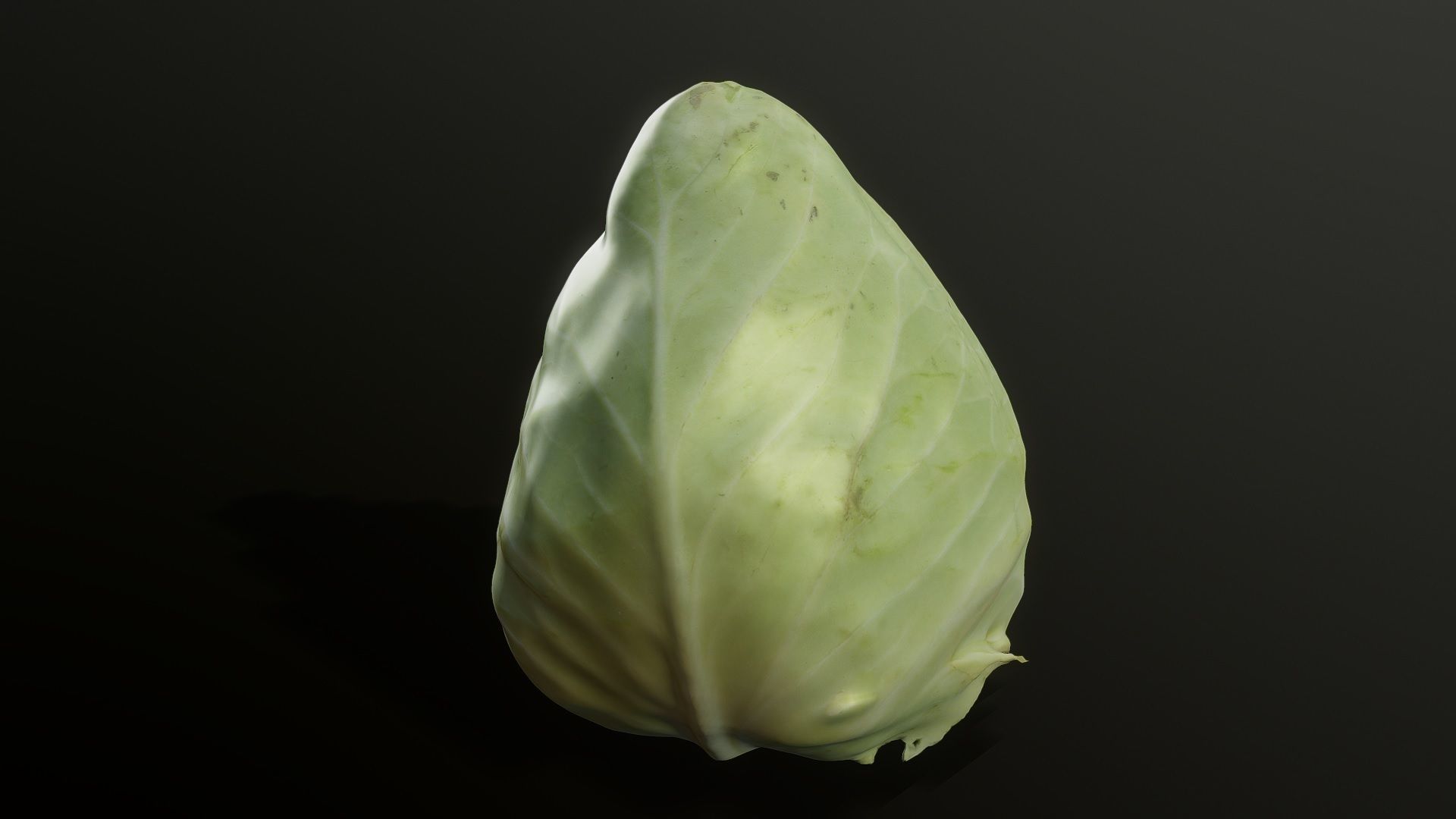 3D model 3D Scan Cabbage 01 VR / AR / low-poly | CGTrader