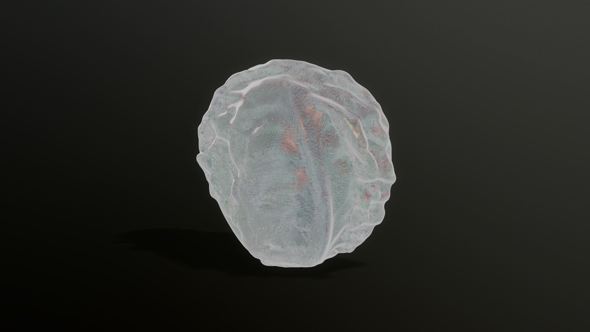 3D model 3D Scan Cabbage 03 VR / AR / low-poly | CGTrader