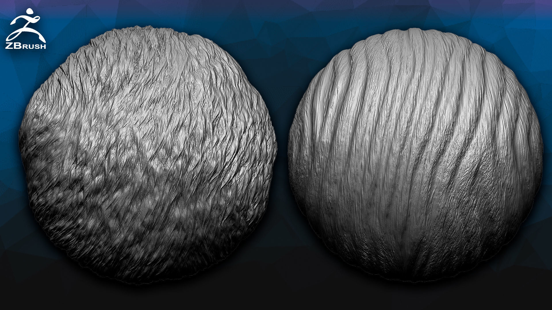 10 Fur Alphas for ZBrush 3D model | CGTrader