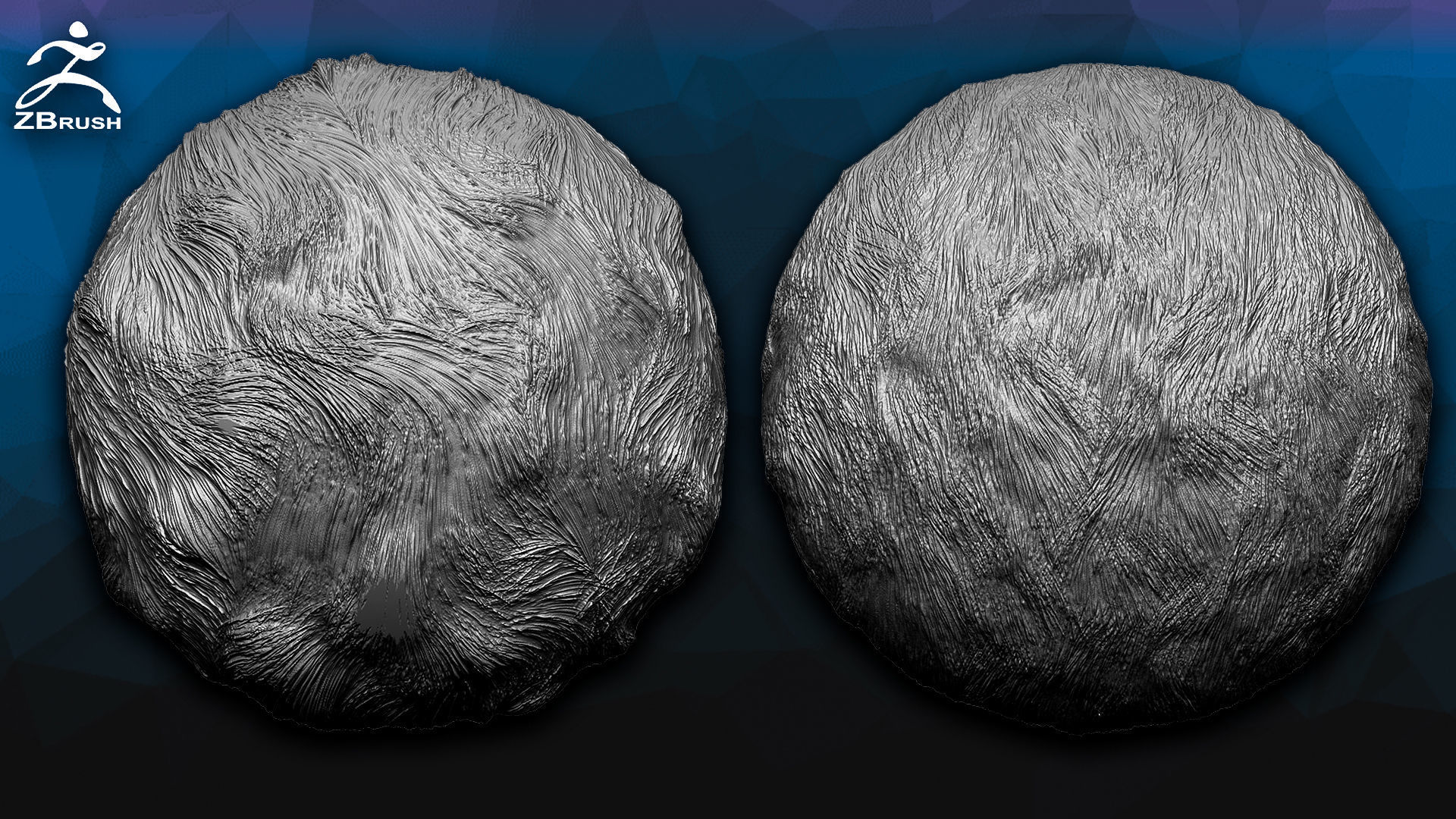 10 Fur Alphas for ZBrush 3D model | CGTrader