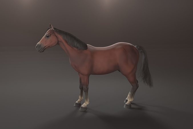 3D model Horse Animated 3D model VR / AR / low-poly | CGTrader