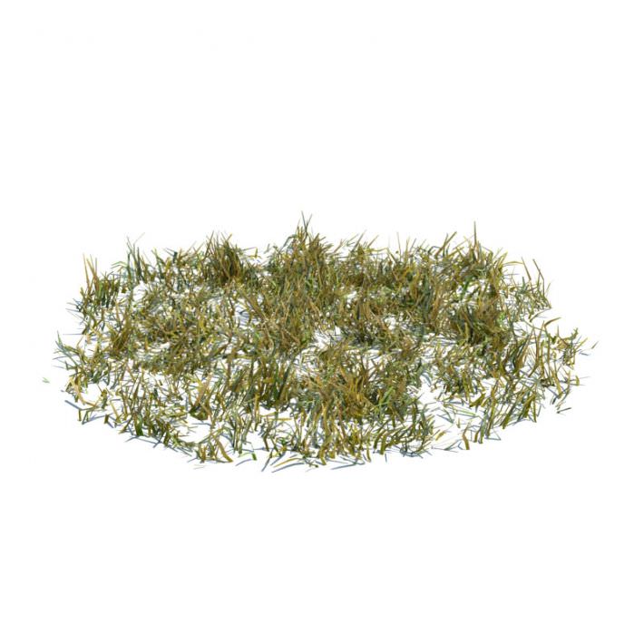 Circular Patch Of Grass 3D model | CGTrader