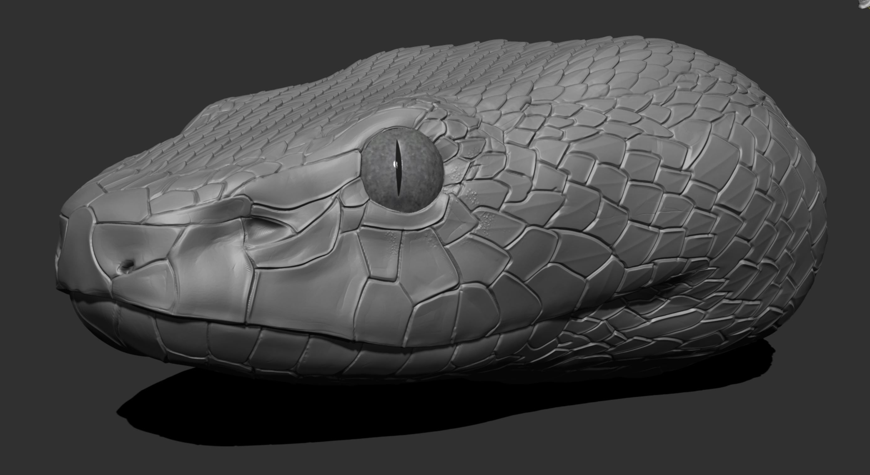 Snake Heads - 3D Printable 3D model 3D printable | CGTrader