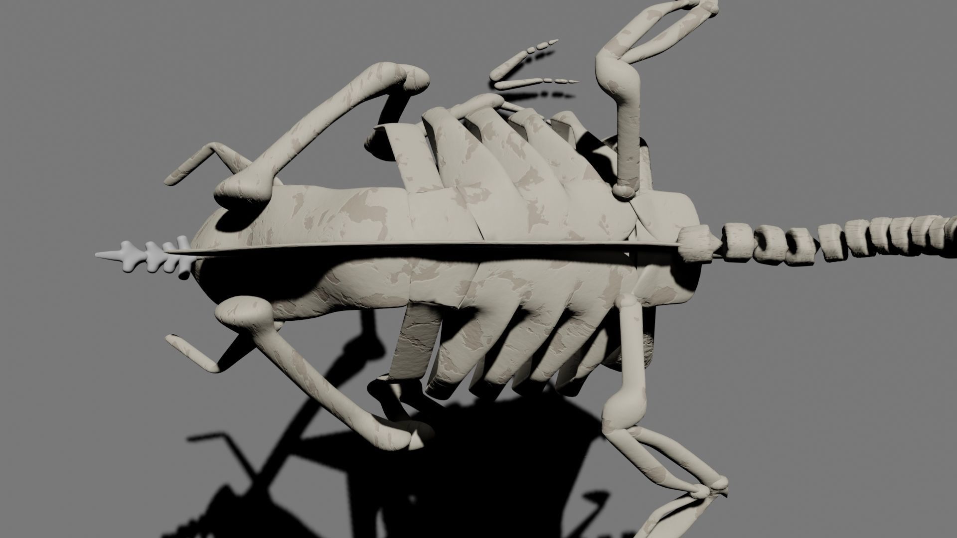 bird skeleton 3D model | CGTrader