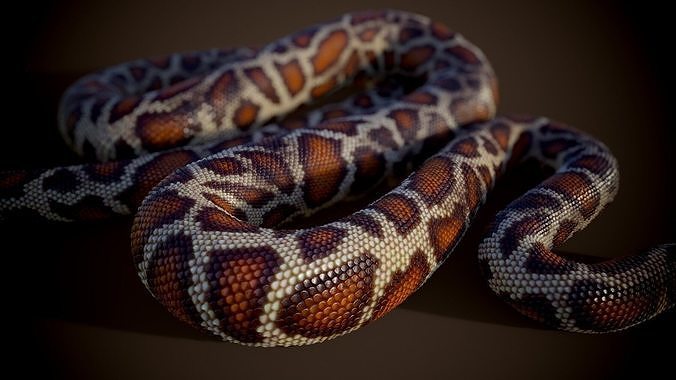 Snake skin smart substance procedural material 3D model | CGTrader
