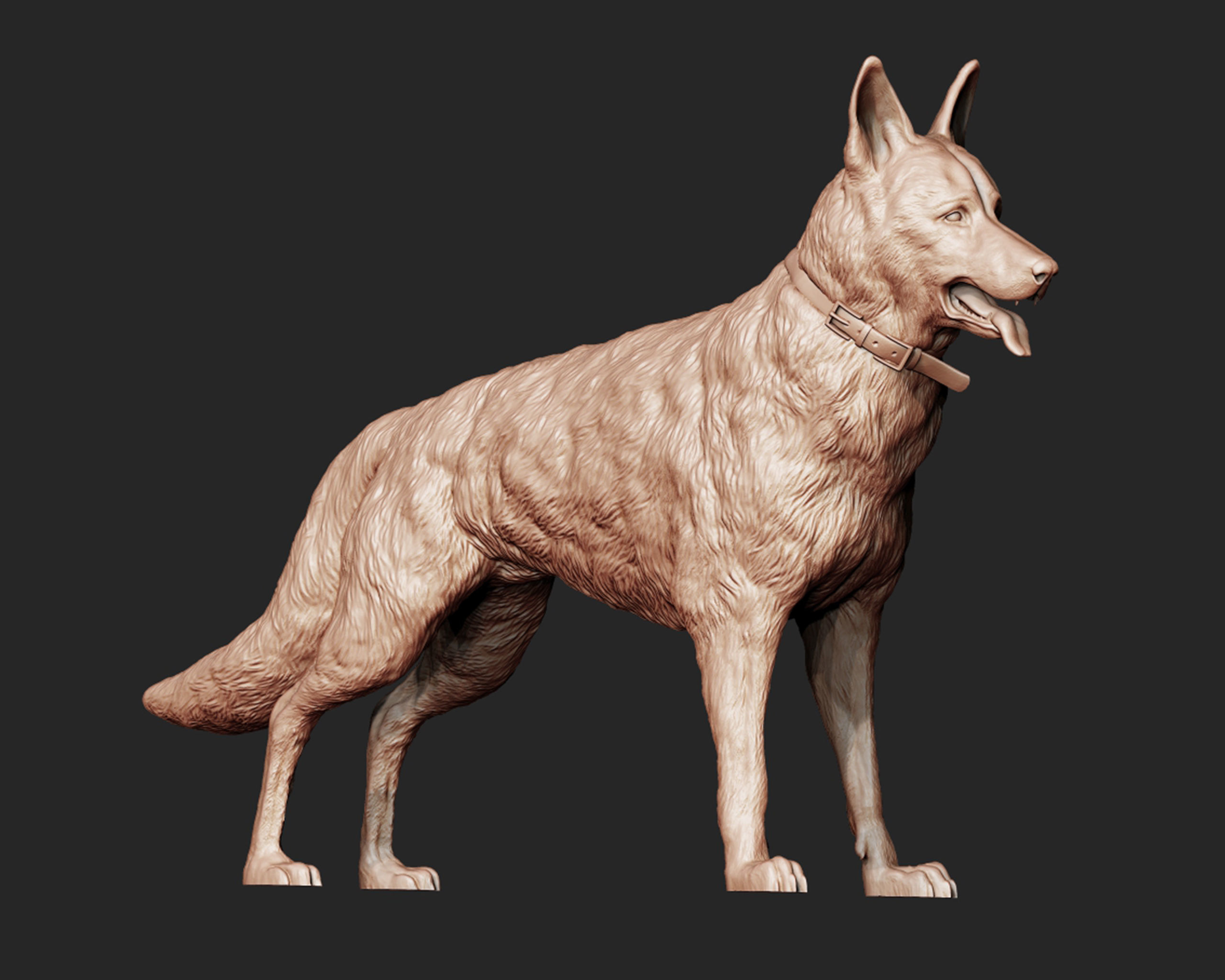 German Shepherd model 3D model 3D printable | CGTrader