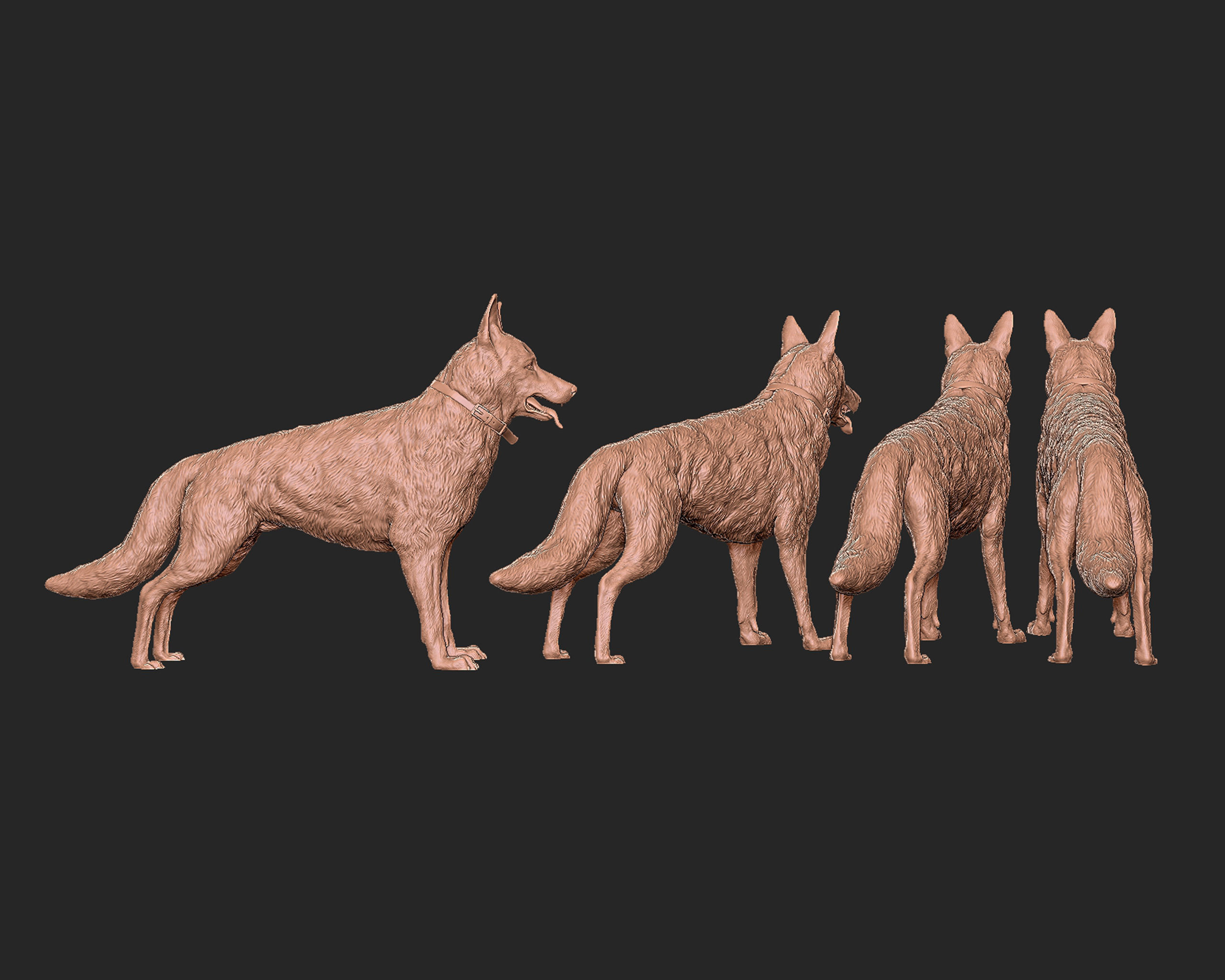 German Shepherd model 3D model 3D printable | CGTrader