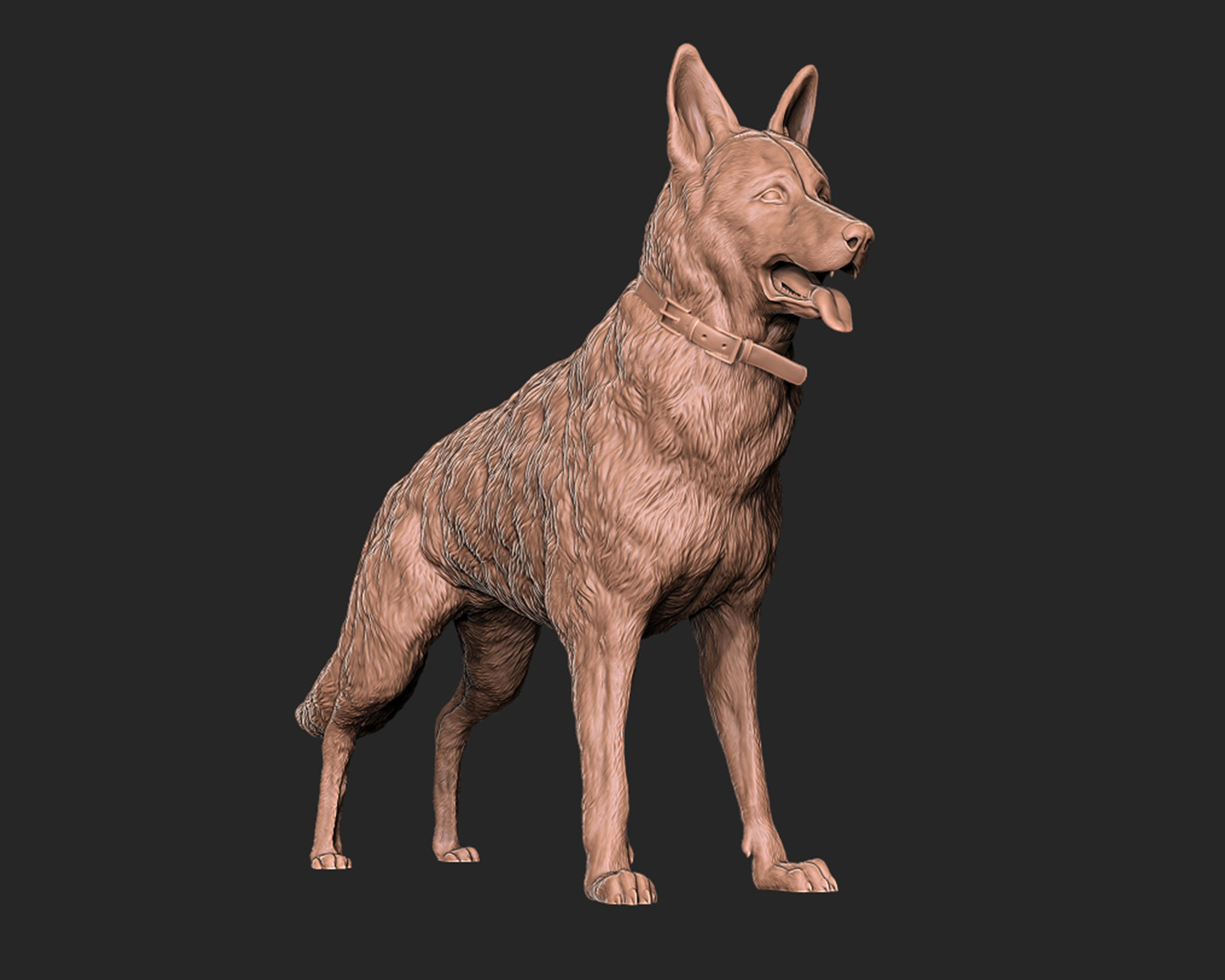 German Shepherd model 3D model 3D printable | CGTrader