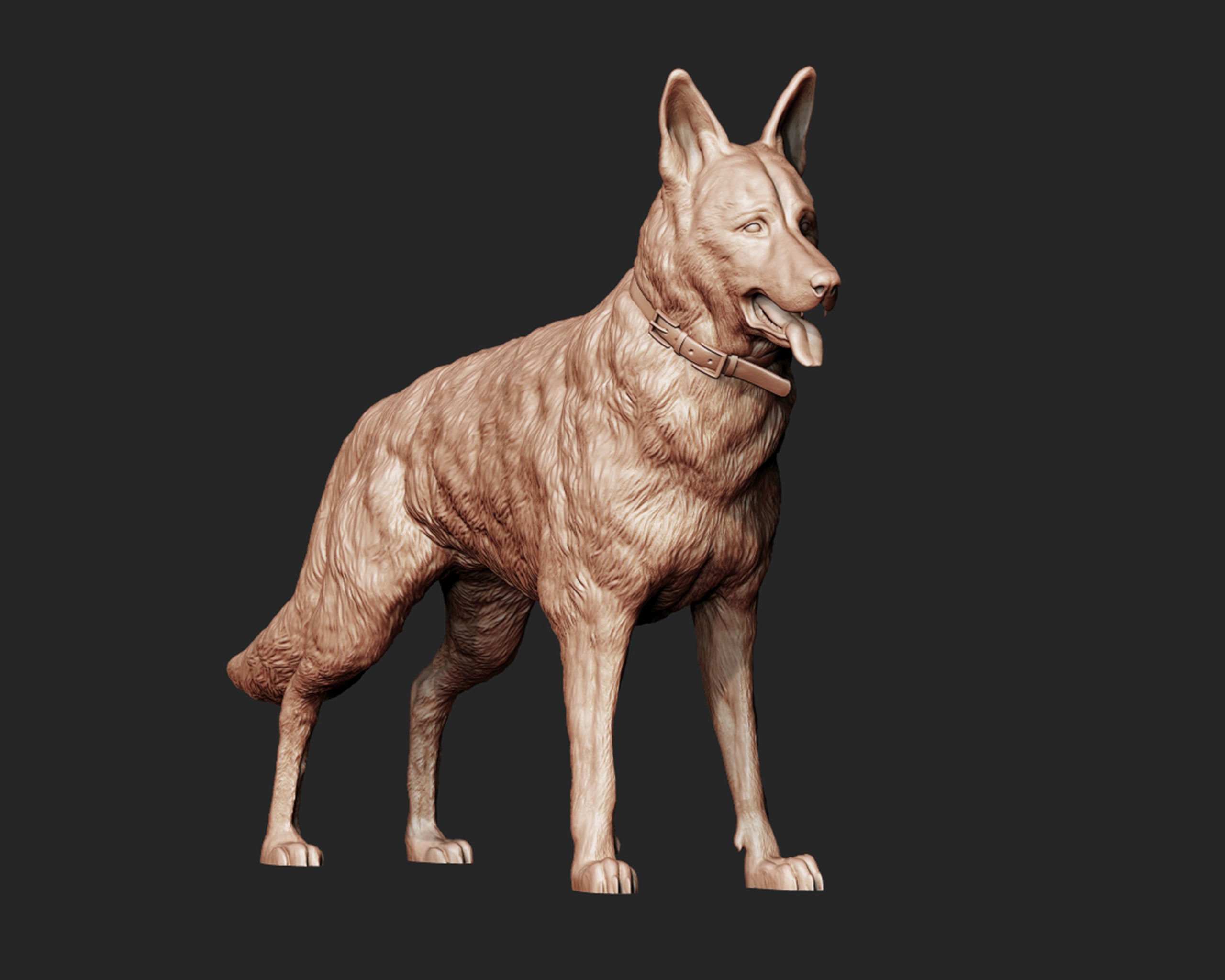 German Shepherd model 3D model 3D printable | CGTrader