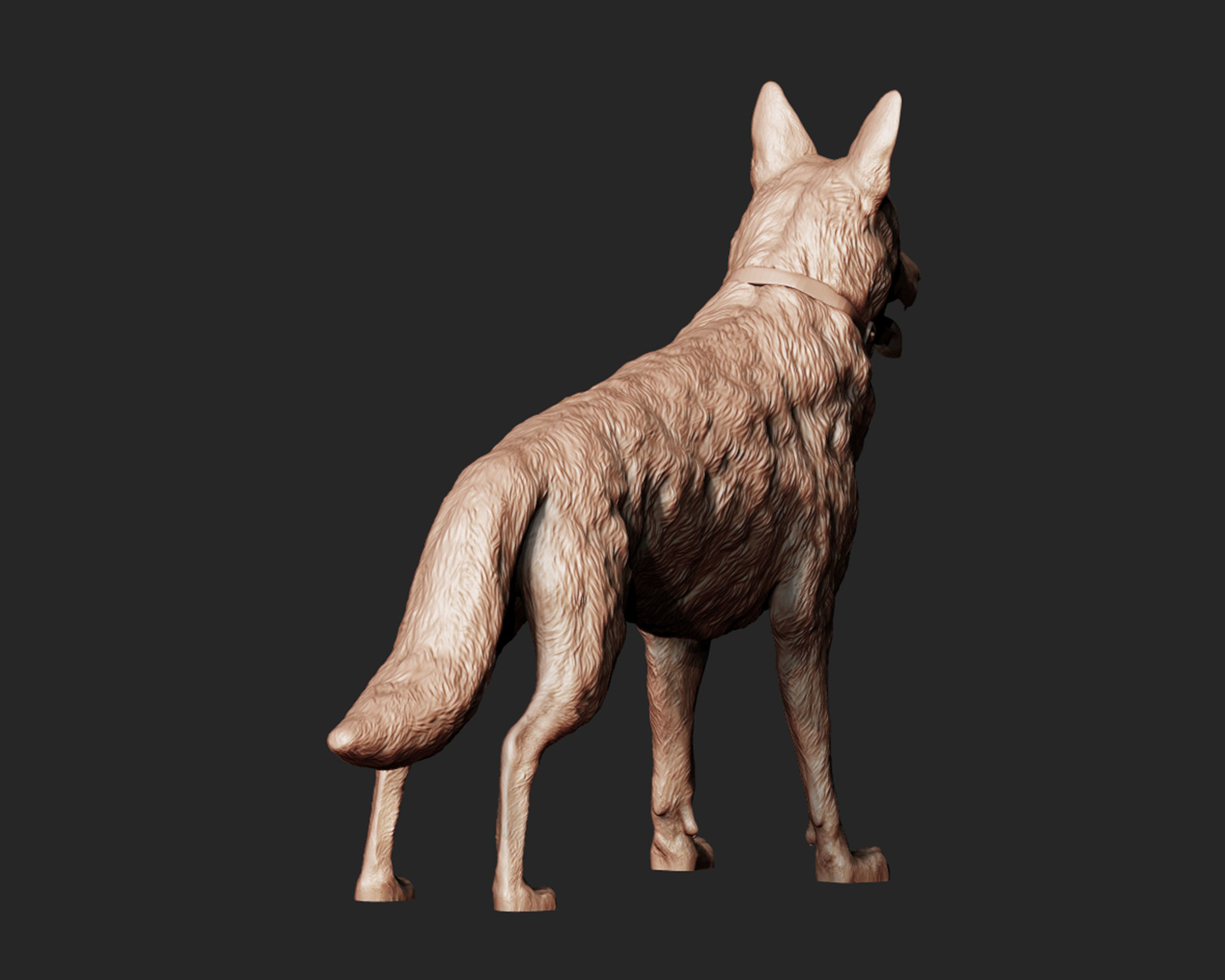 German Shepherd model 3D model 3D printable | CGTrader