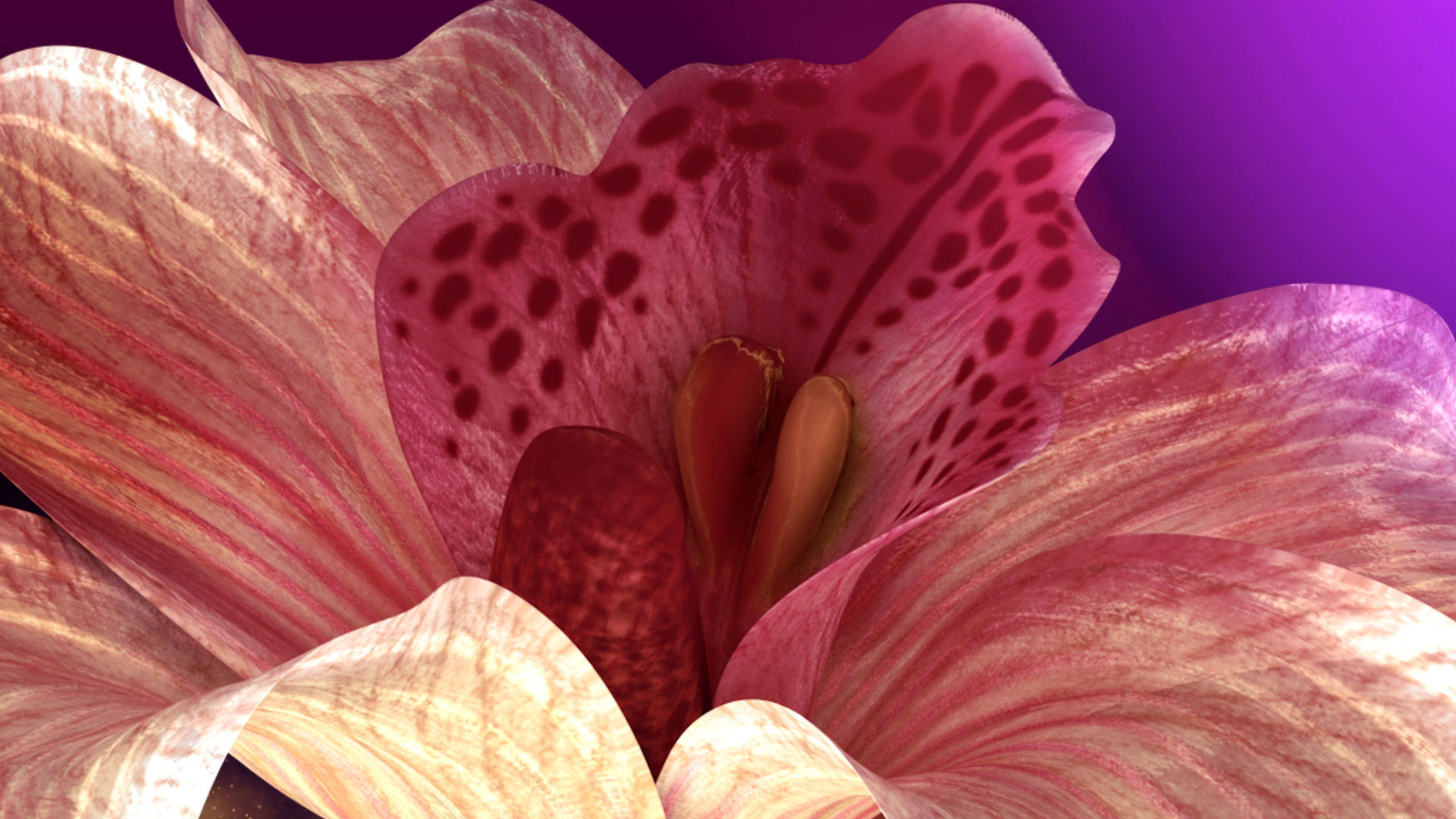 Beautiful Animated Orchid Flower 3D model 3D model animated rigged ...