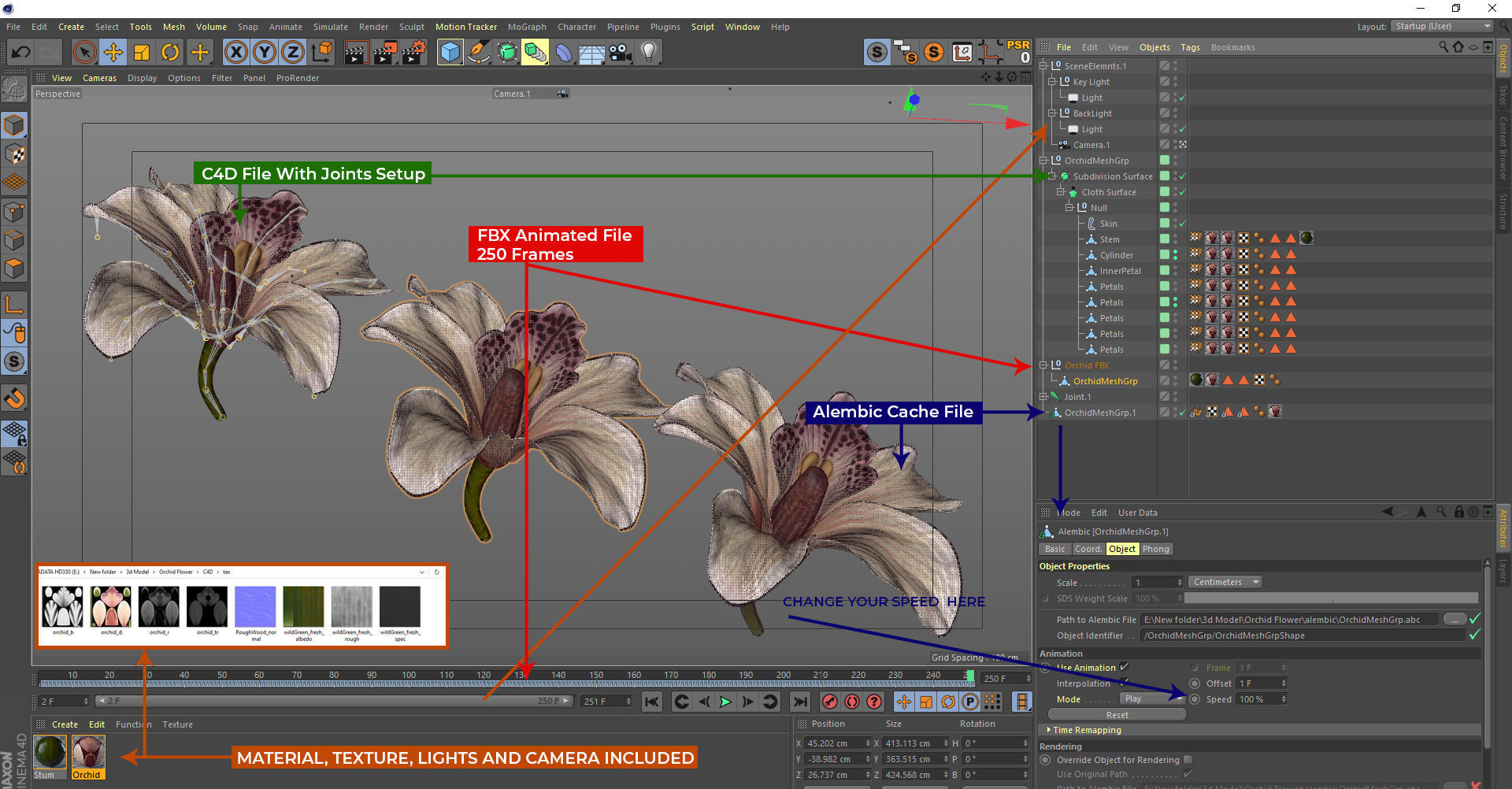 Beautiful Animated Orchid Flower 3D model 3D model animated rigged ...
