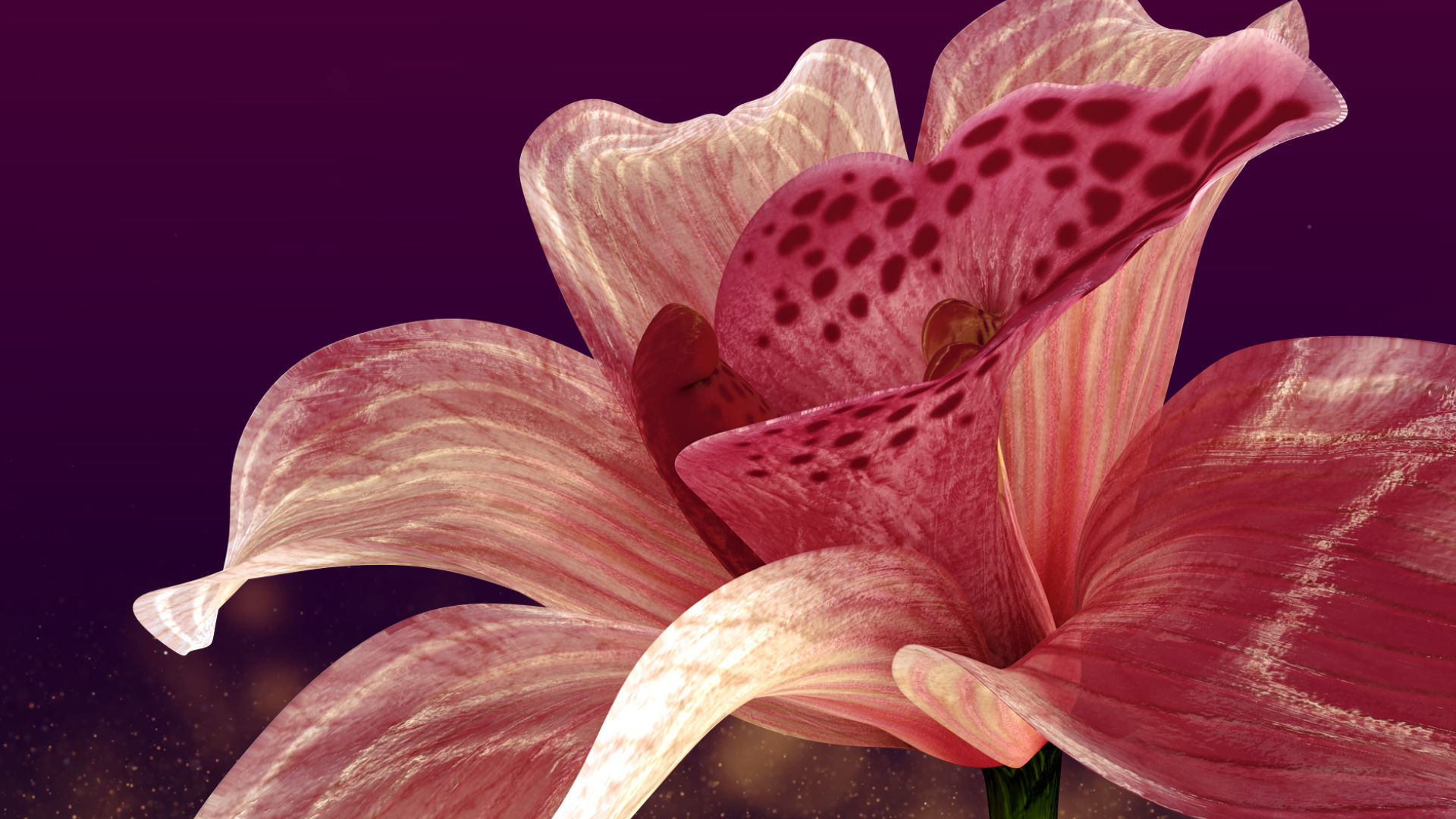 Beautiful Animated Orchid Flower 3D model 3D model animated rigged ...