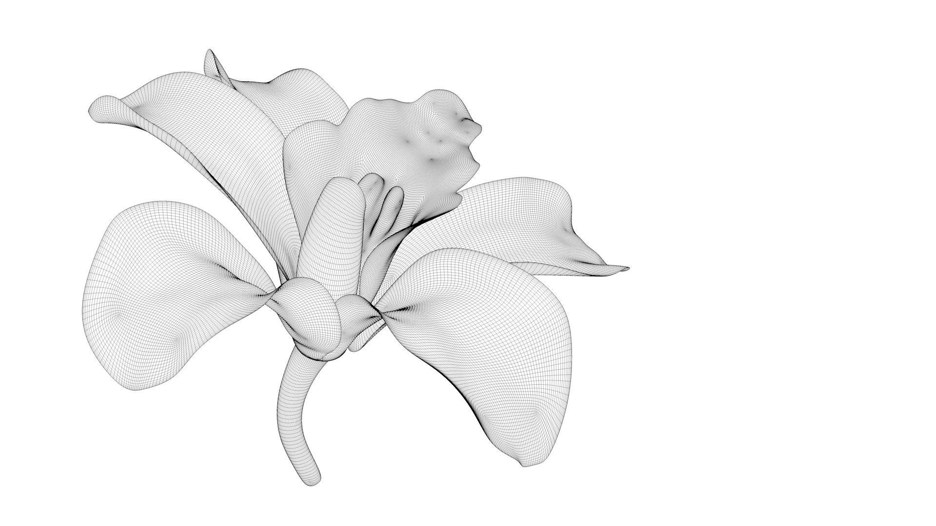 Beautiful Animated Orchid Flower 3D model 3D model animated rigged ...