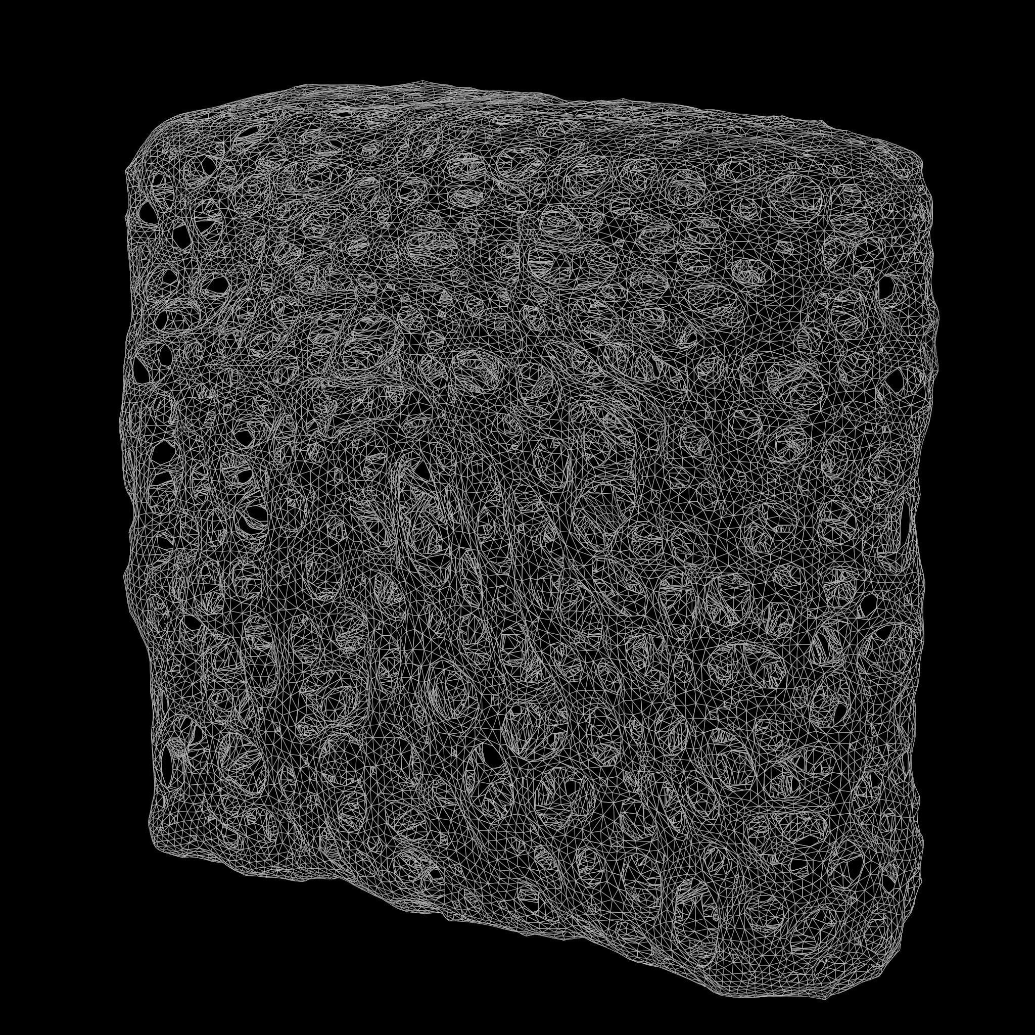 Bone Matrix Rectangle 3D model | CGTrader